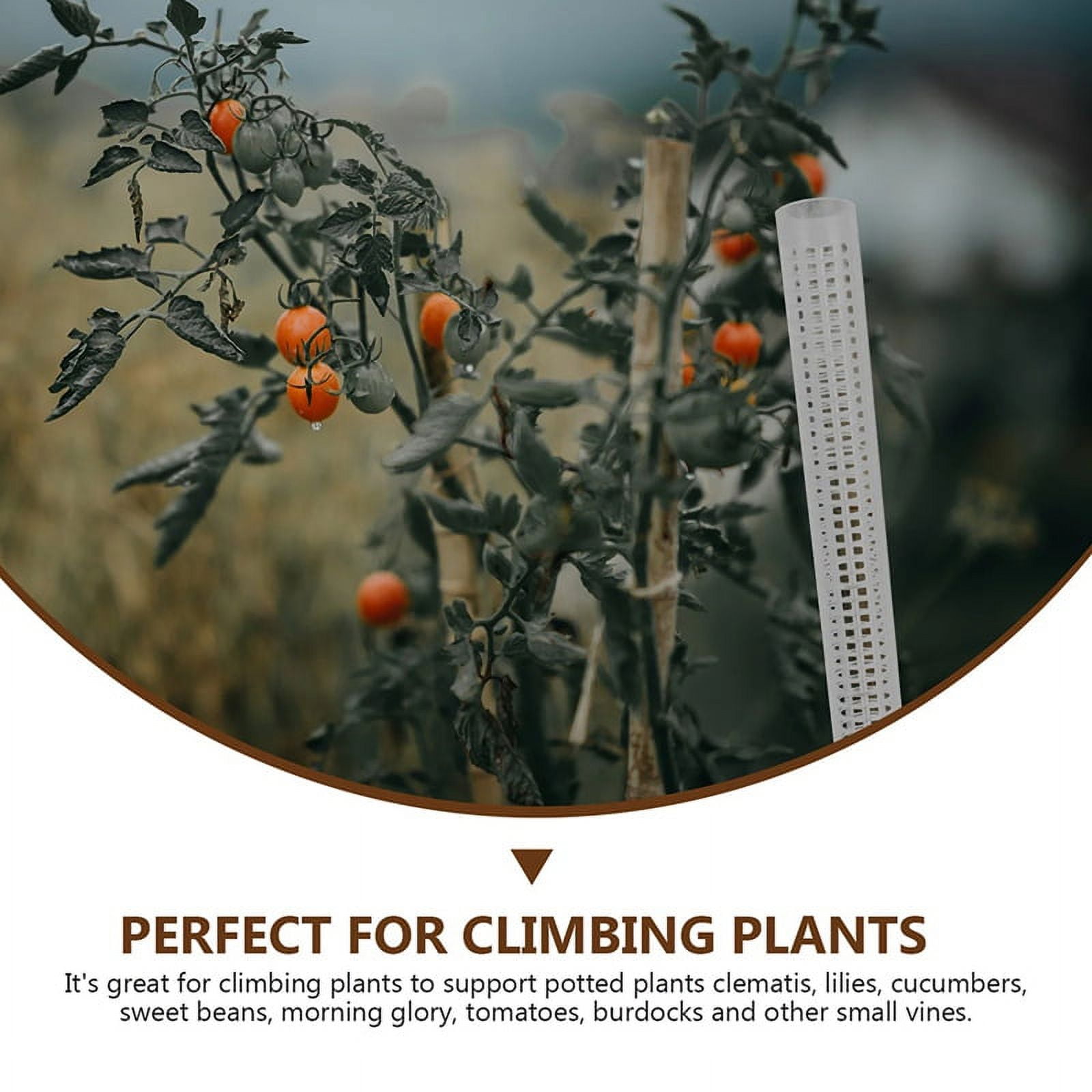 Climbing Pole Plants Pillar Supporter Crawl Plants Portable Creepers ...