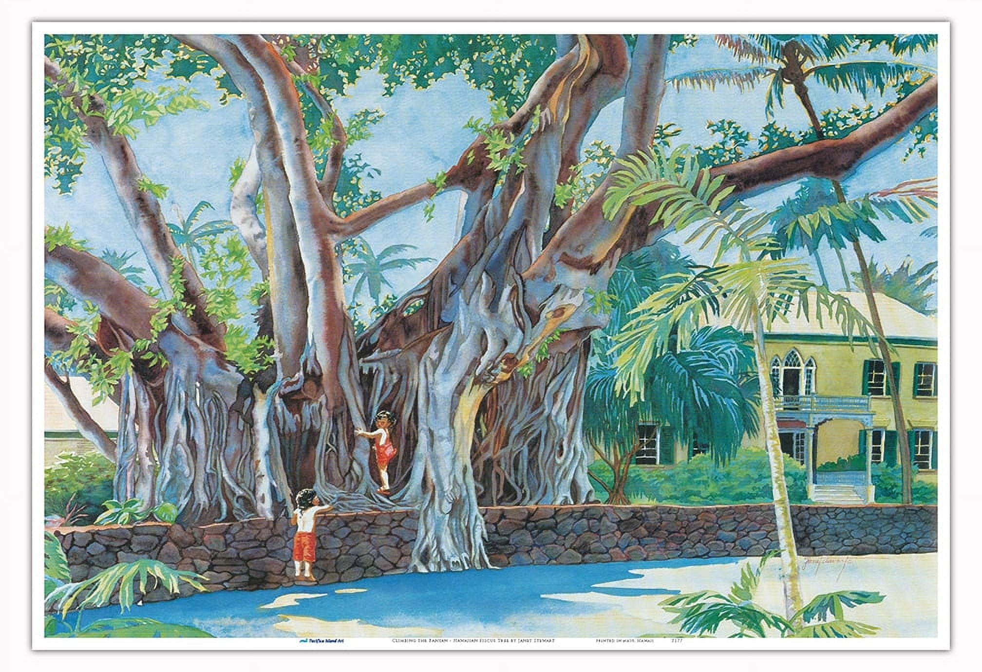 Climbing the Royal Banyan Tree (E E Ka Panaiana) - Hulihe‘e Palace ...