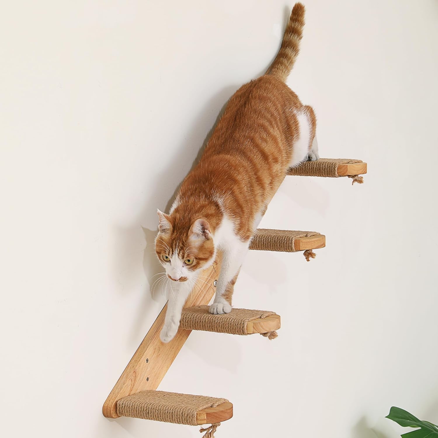 Climbing Shelf Wall Mounted, Four Step Stair with Jute for Kitten Walls ...