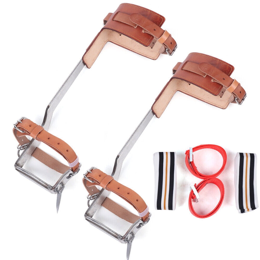 Climbing Spurs Tree Climbing Spike Gaffs Set Gear Safety Tool Stainless ...