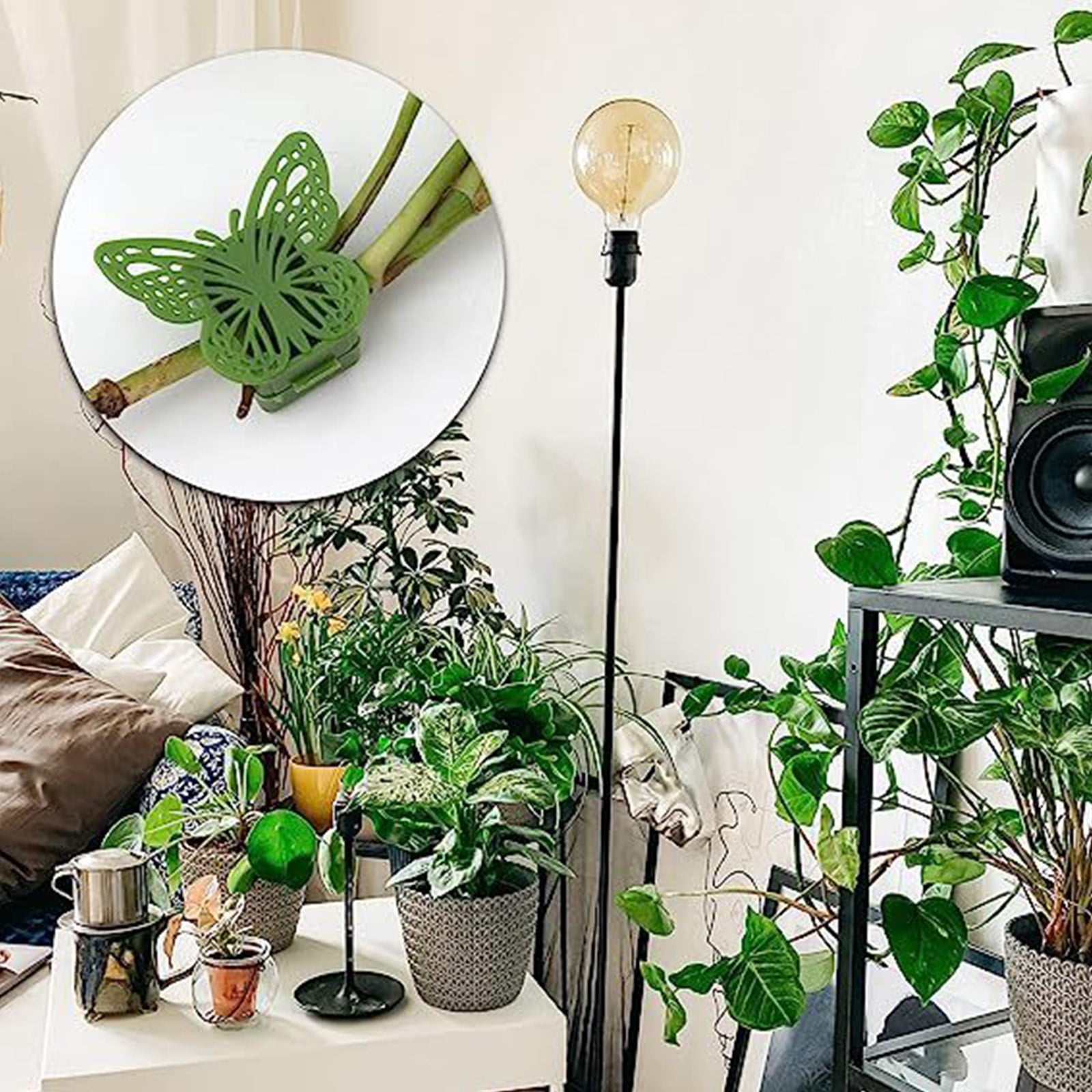 Climbing Support Wall Mount, Plant Climber Holders, Leaf & Cable ...