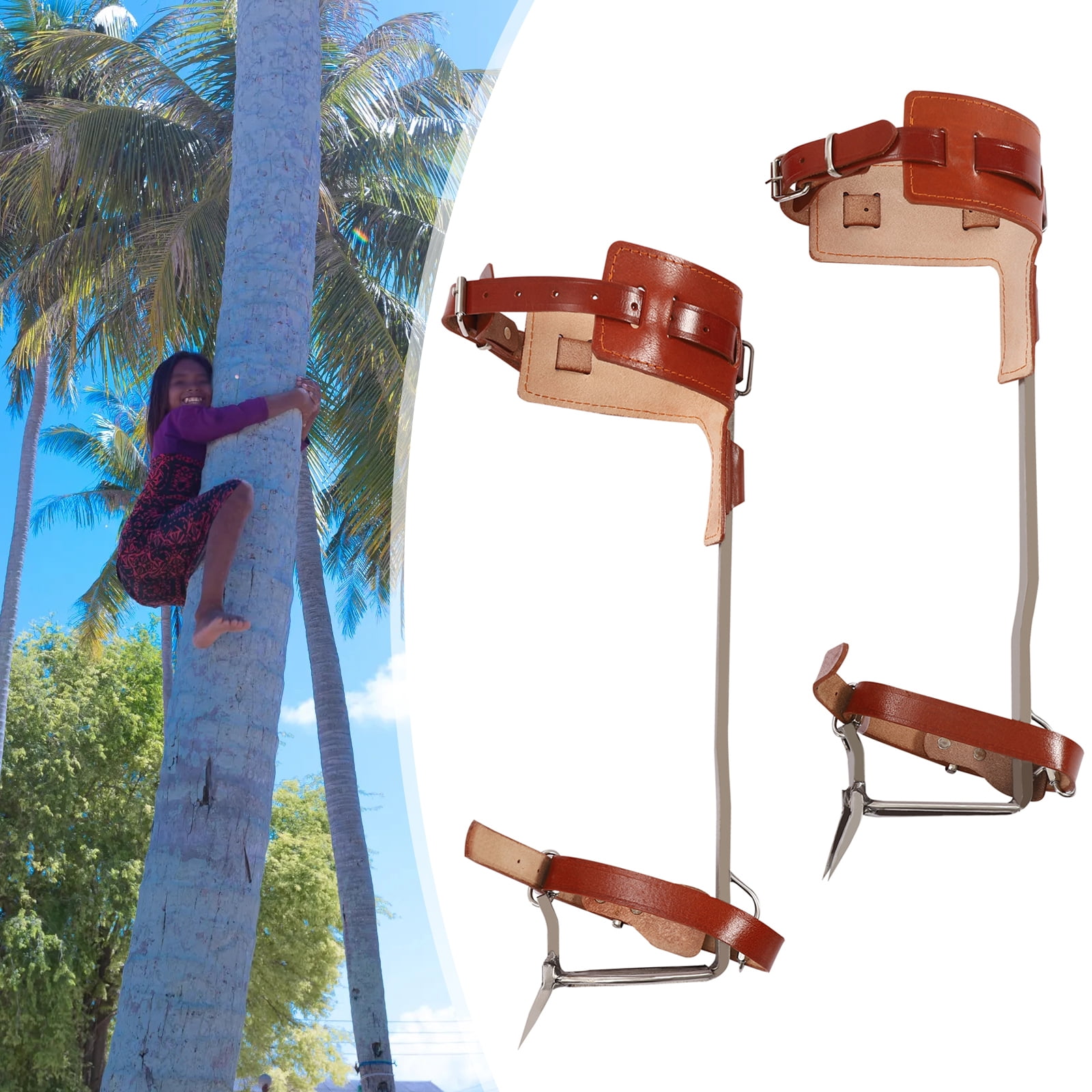 Climbing Tree Spikes Stainless-Steel - Tree Gaffs Pads Spur Gear ...