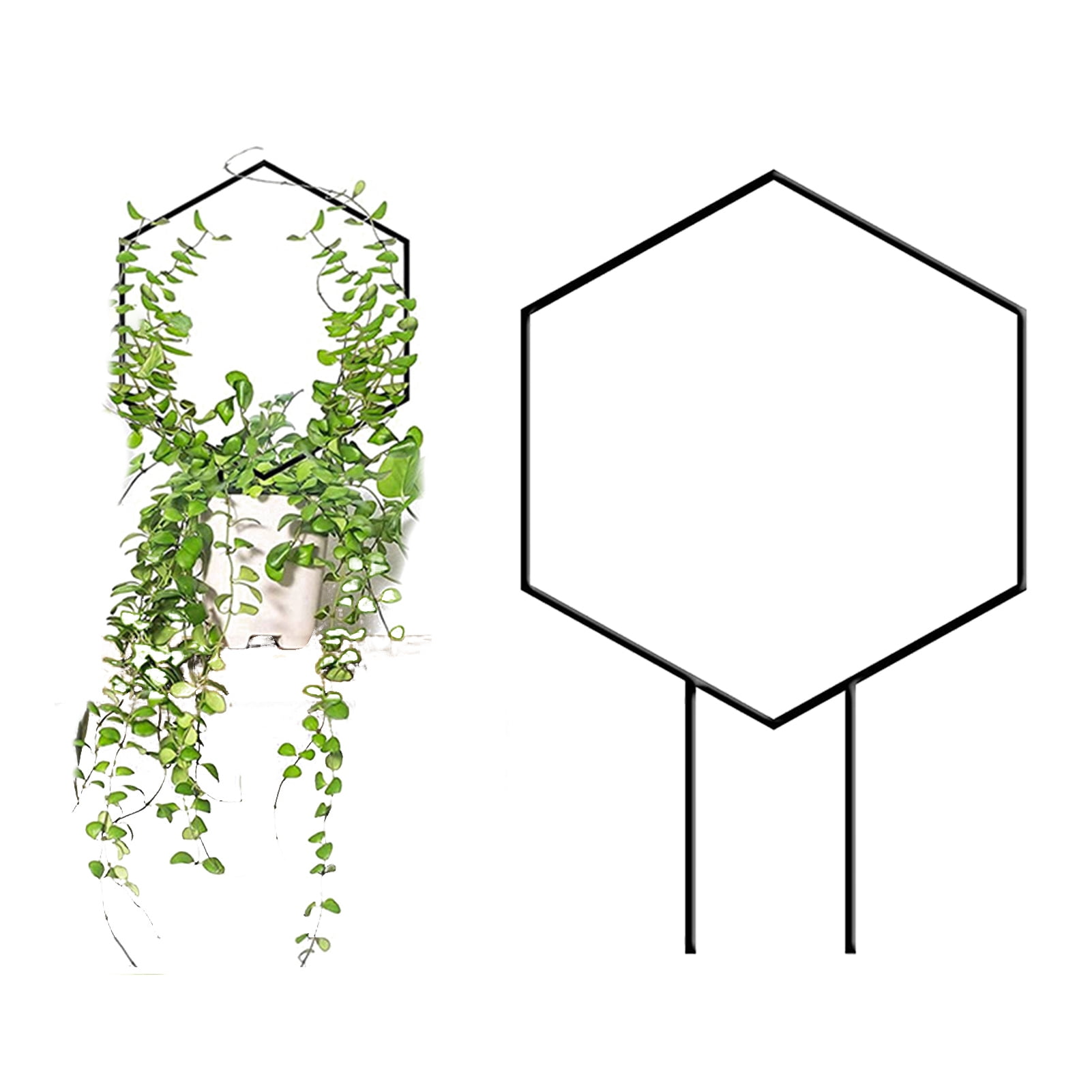 Climbing Vine Rack Plant Potted Support Frame Black Metal Coated Steel ...