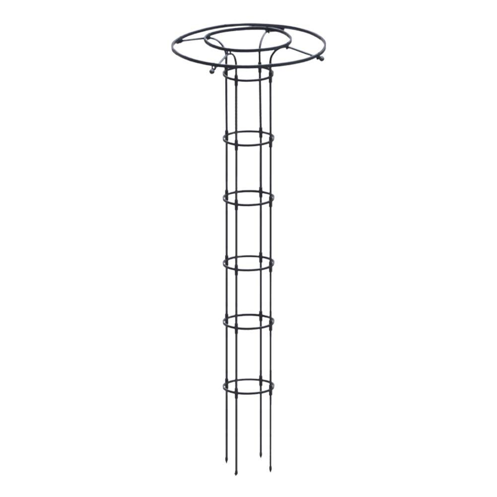 Climbing Vine Rose Climbing Vine Frame Rose Iron Wire Lotu Bracket New ...
