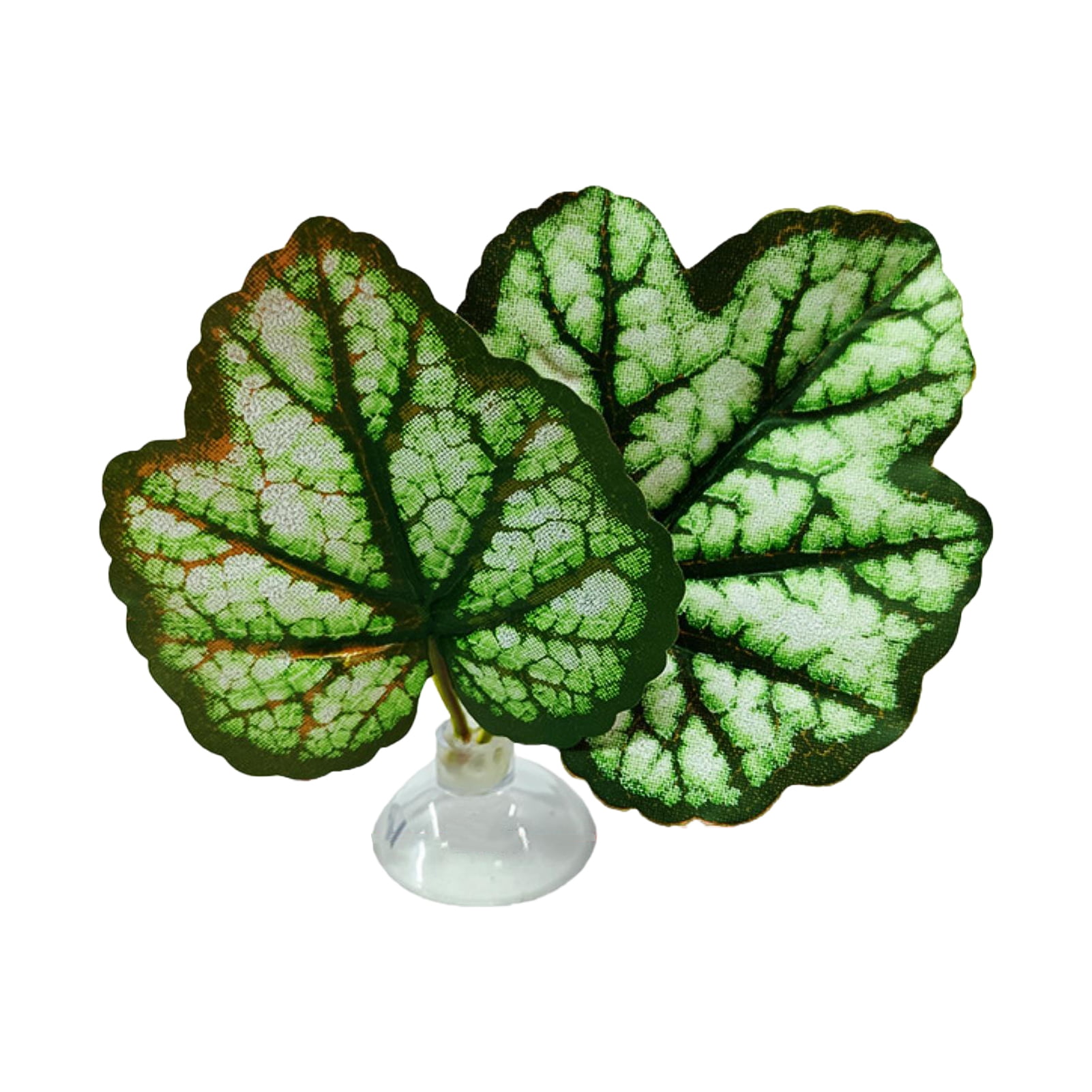 Clinaoy Betta Fish Leaf Pad Aquarium Decor Stress Relief Privacy ...