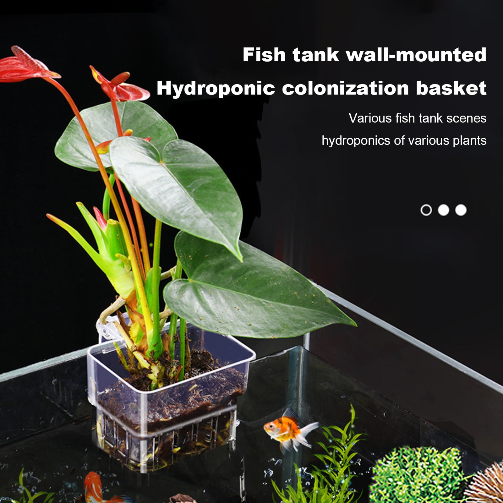 Clinaoy Hydroponic Planting Basket Hanging Aquatic Plant Holder Water ...