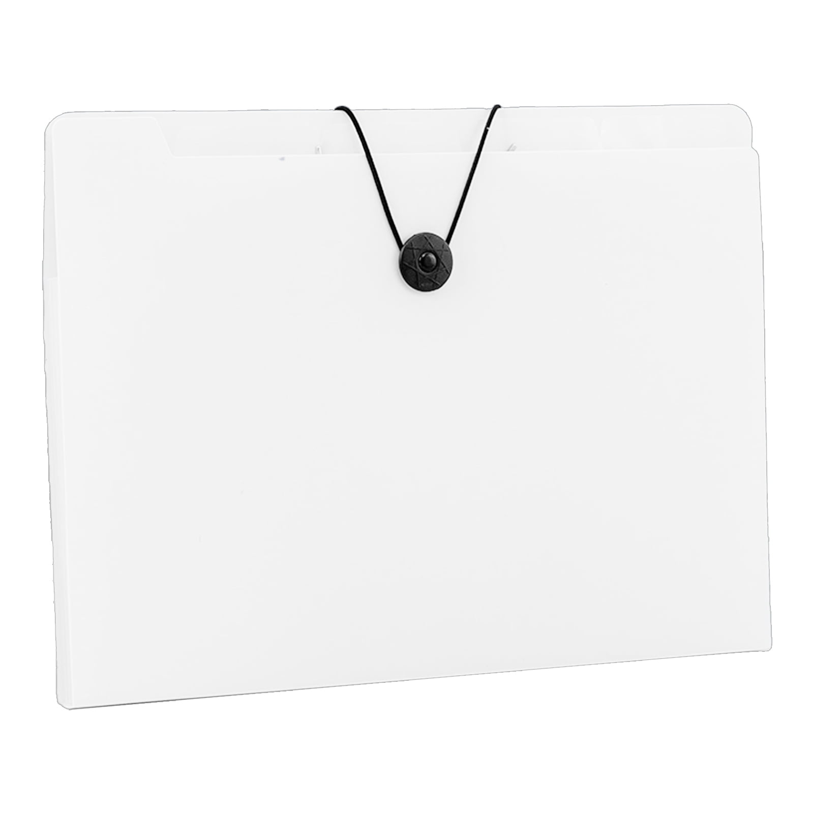 Clinaoy Organ Folder Buckle Design Classified Transparent Insert Large ...