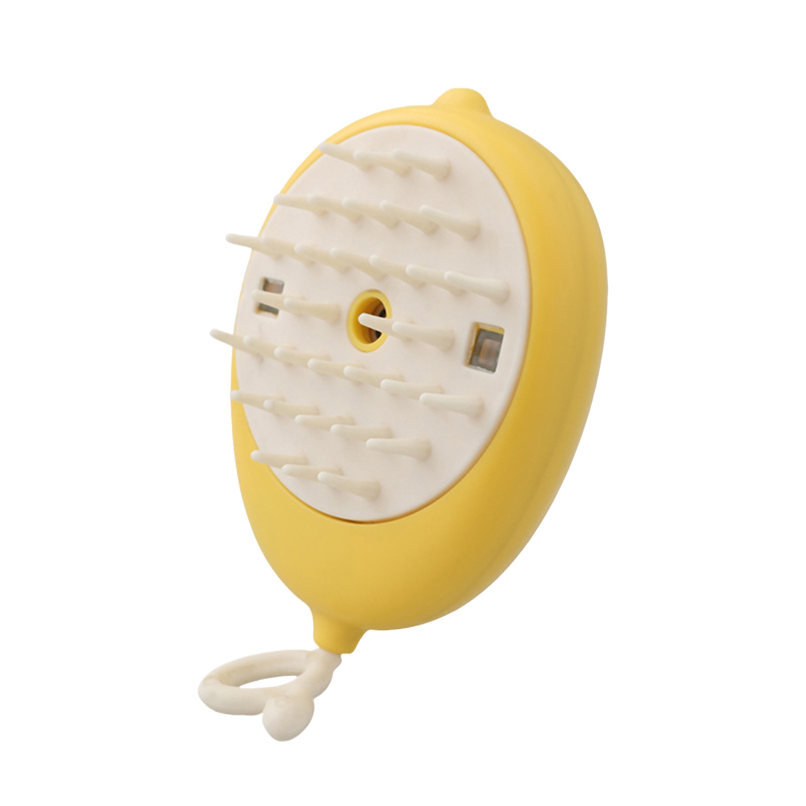 Clinaoy Steamy Cat Brush Hot Steam Spray Comb for Cats Dogs ...