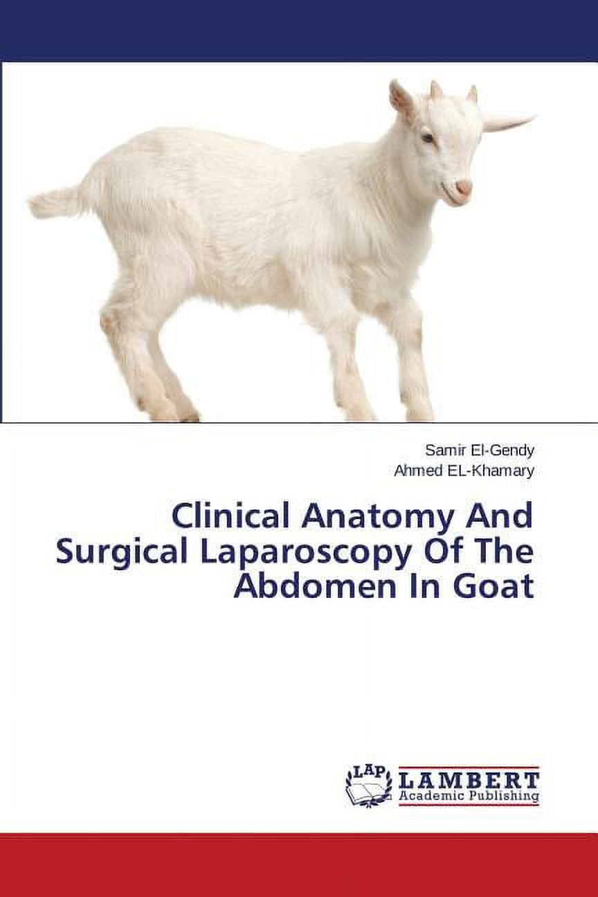 Clinical Anatomy and Surgical Laparoscopy of the Abdomen in Goat ...