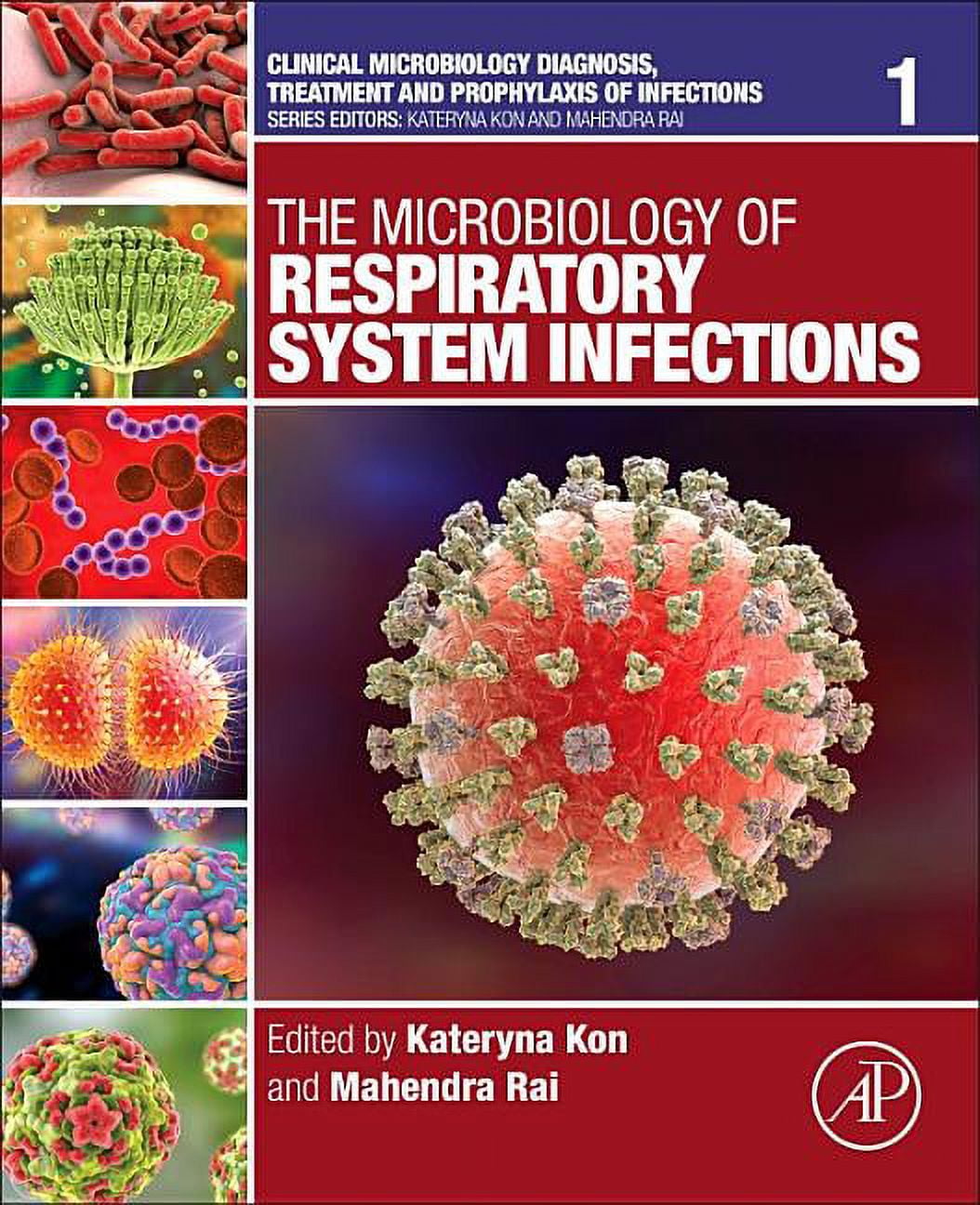 Clinical Microbiology Diagnosis, Treatme The Microbiology of ...