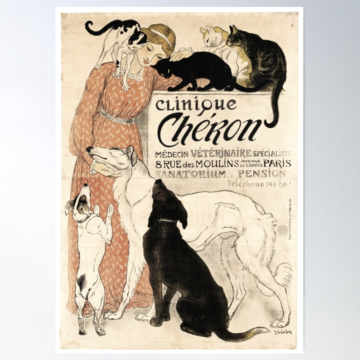 Clinique Chéron, Théophile Alexandre Steinlen, 1905 Poster Wall Art ...