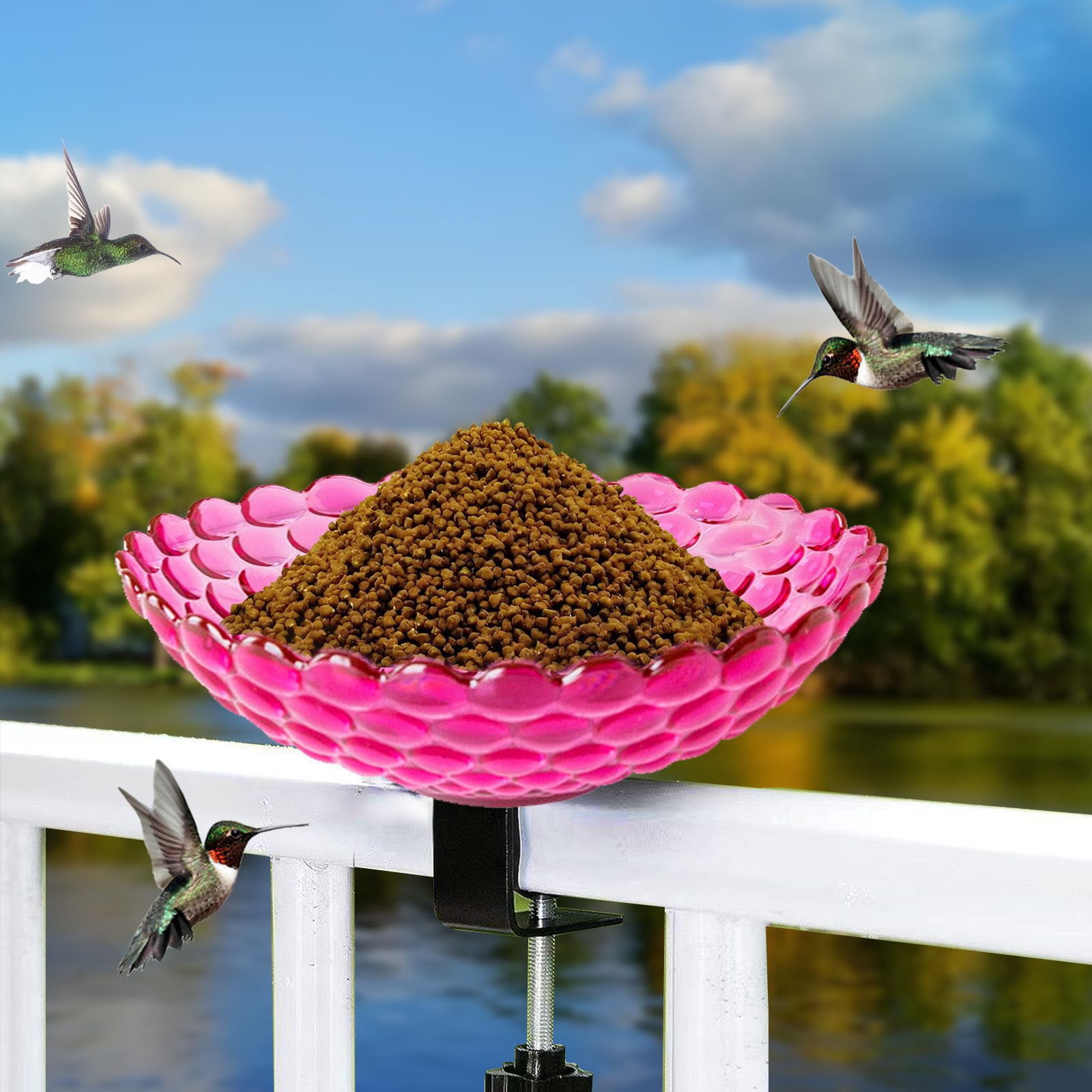 Clip on Bird Bath & Bird Feeder, Pretty Durable Hummingbird Bird Bath ...