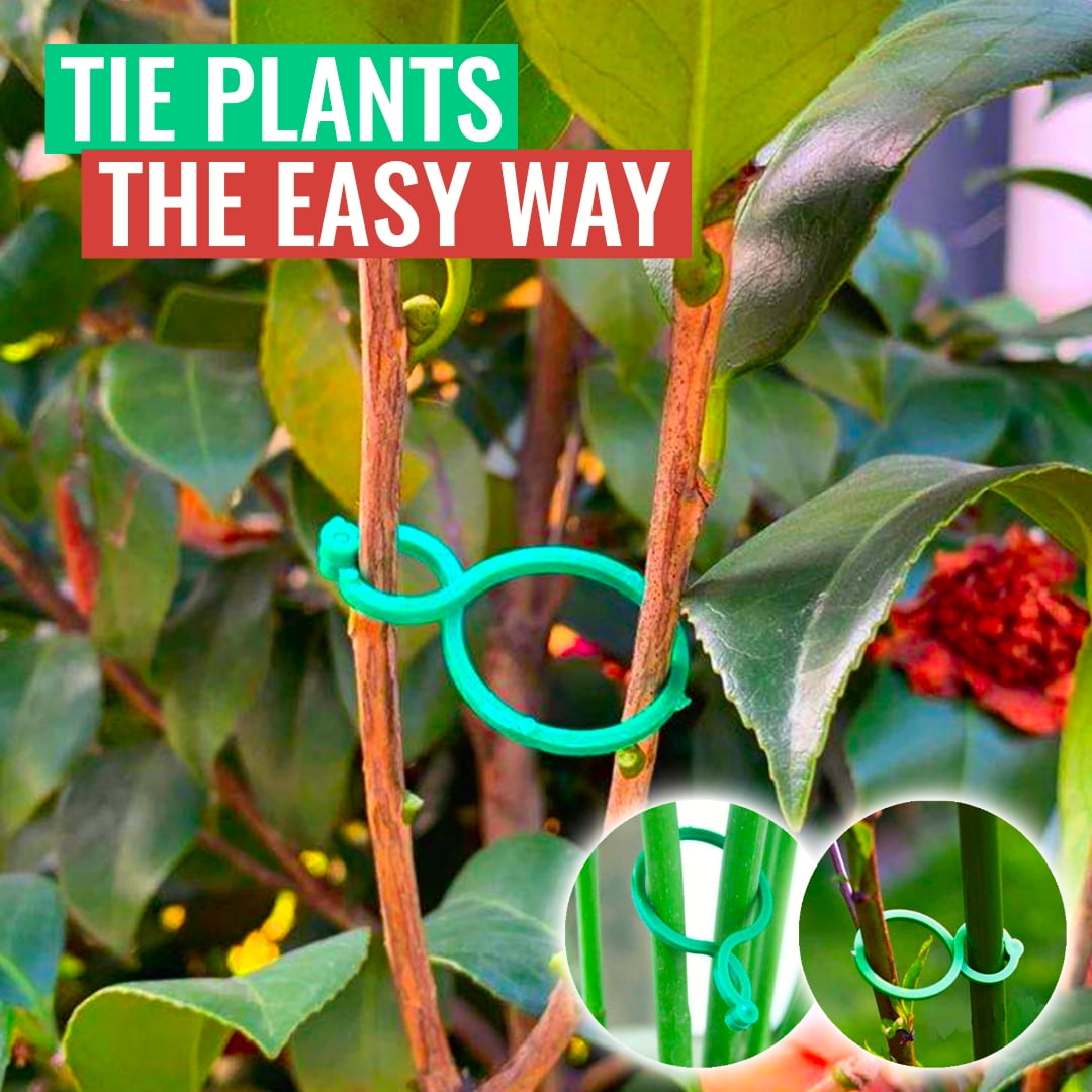 Clip Stem - Plant Twist Ties Support Clips - Walmart.com