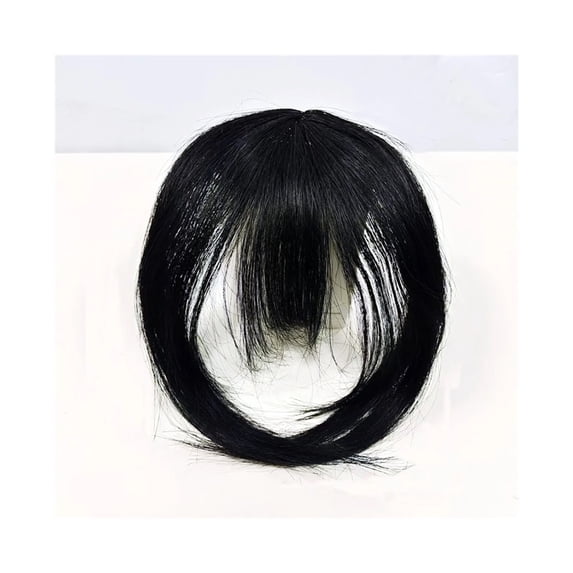 Clip in Bangs 100% Human Hair Fringe Clip on Extensions Daily Party ...