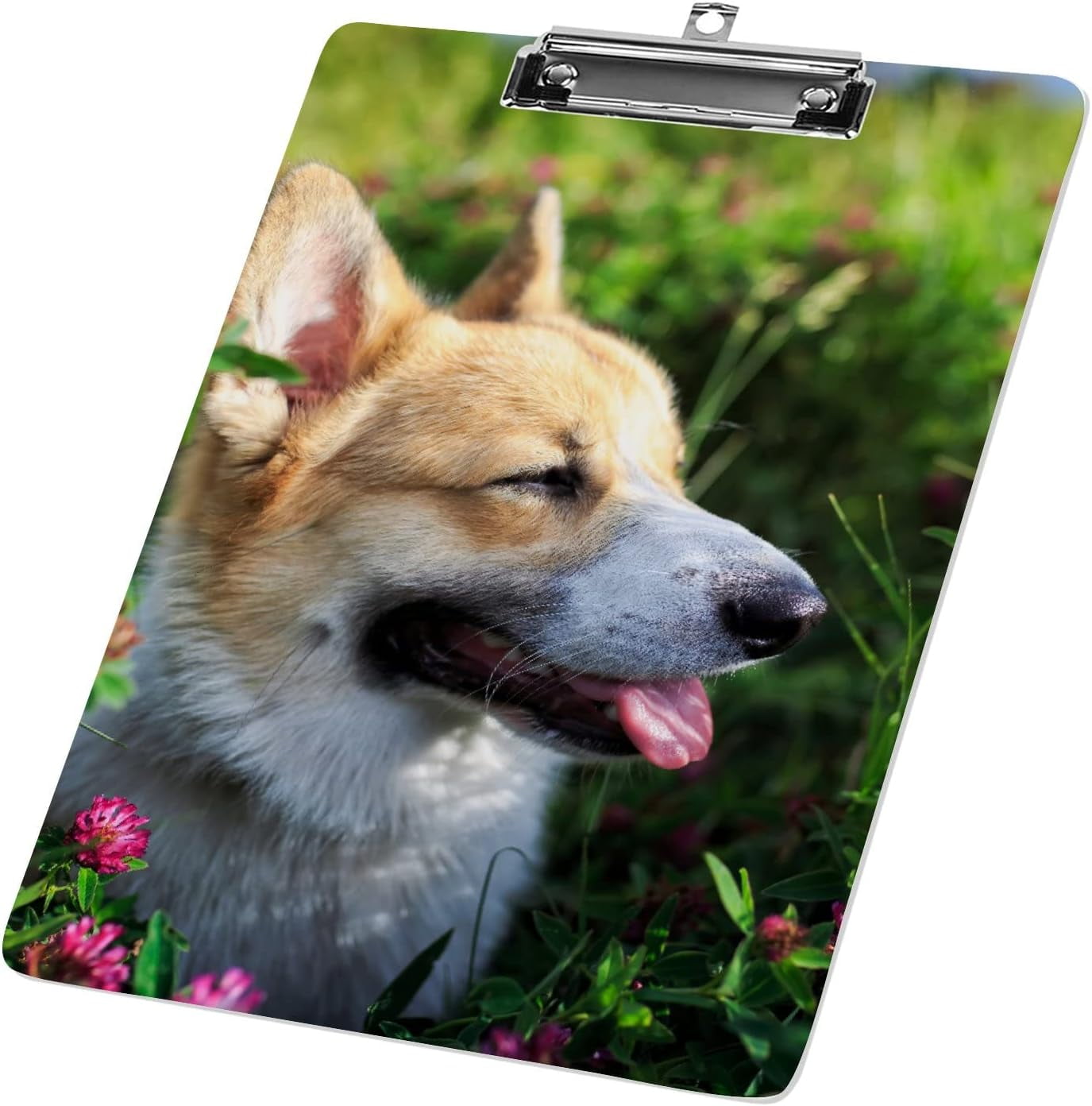Clipboard Nursing Cute Corgi Dog Puppy Acrylic Clip Board with Low ...