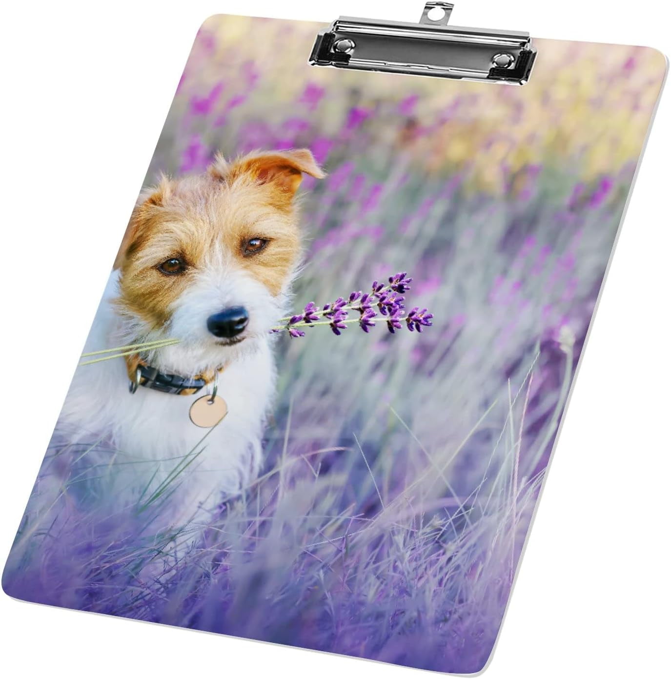 Clipboard Nursing Cute Dog Puppy Acrylic Clip Board with Low Profile ...