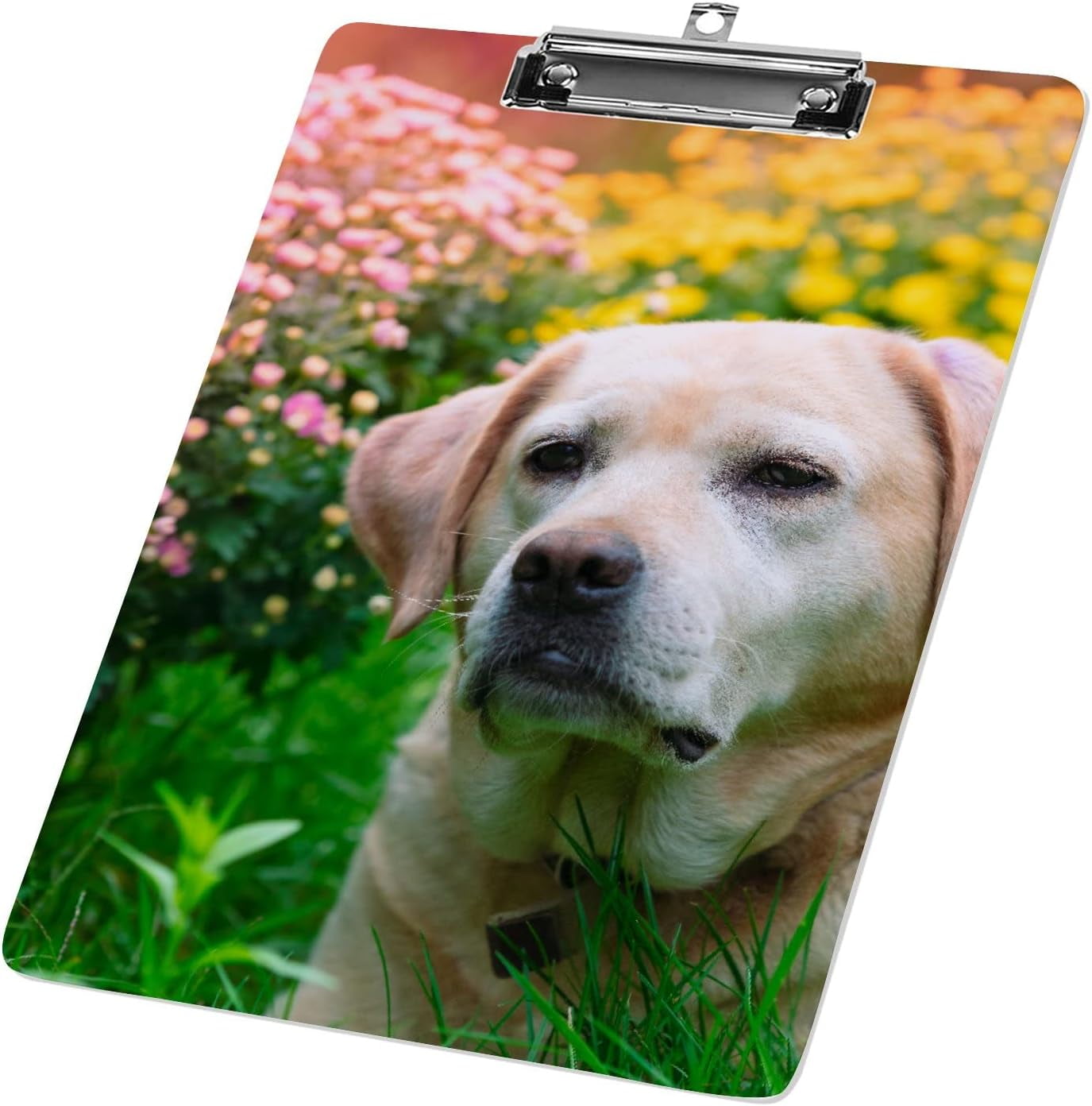 Clipboard Nursing Labrador Dog in The Garden Acrylic Clip Board with ...