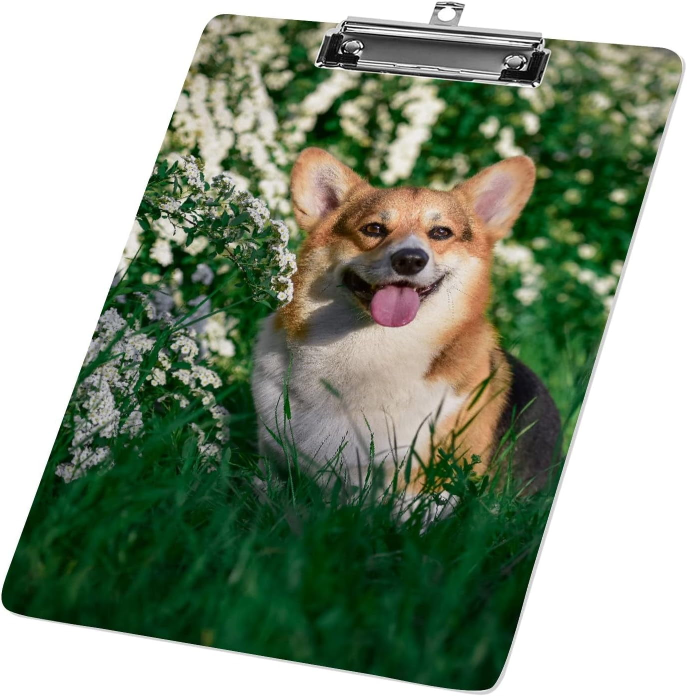 Clipboard Nursing Nice Small Dog Corgi Acrylic Clip Board with Low ...
