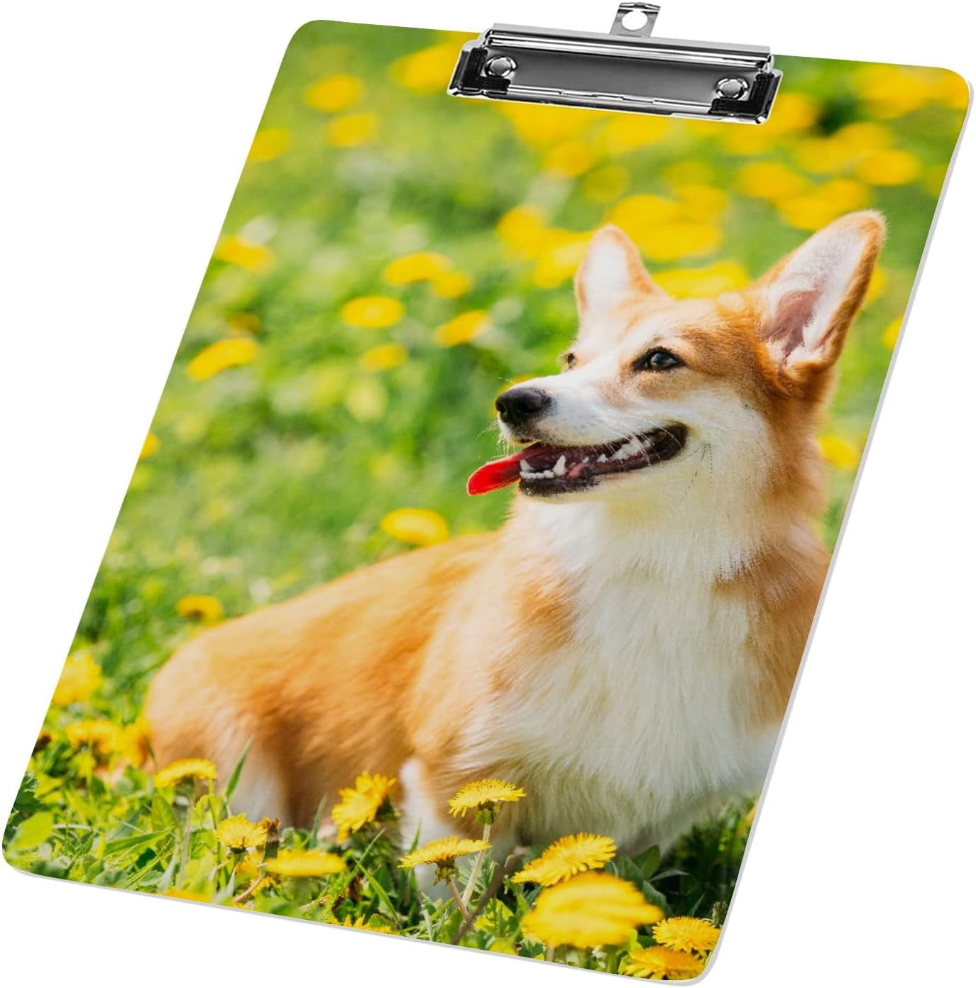 Clipboard Nursing Welsh Corgi Dog Puppy Acrylic Clip Board with Low ...