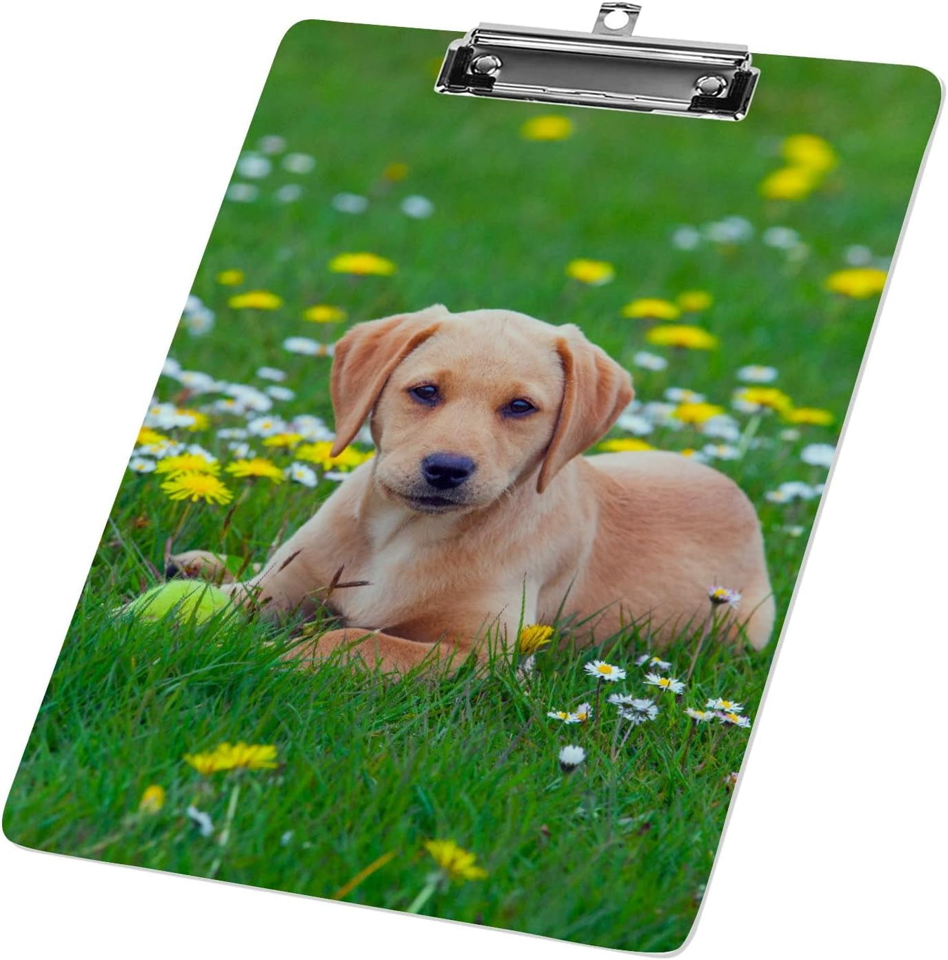 Clipboard Nursing Yellow Labrador Puppy Playing Acrylic Clip Board with ...