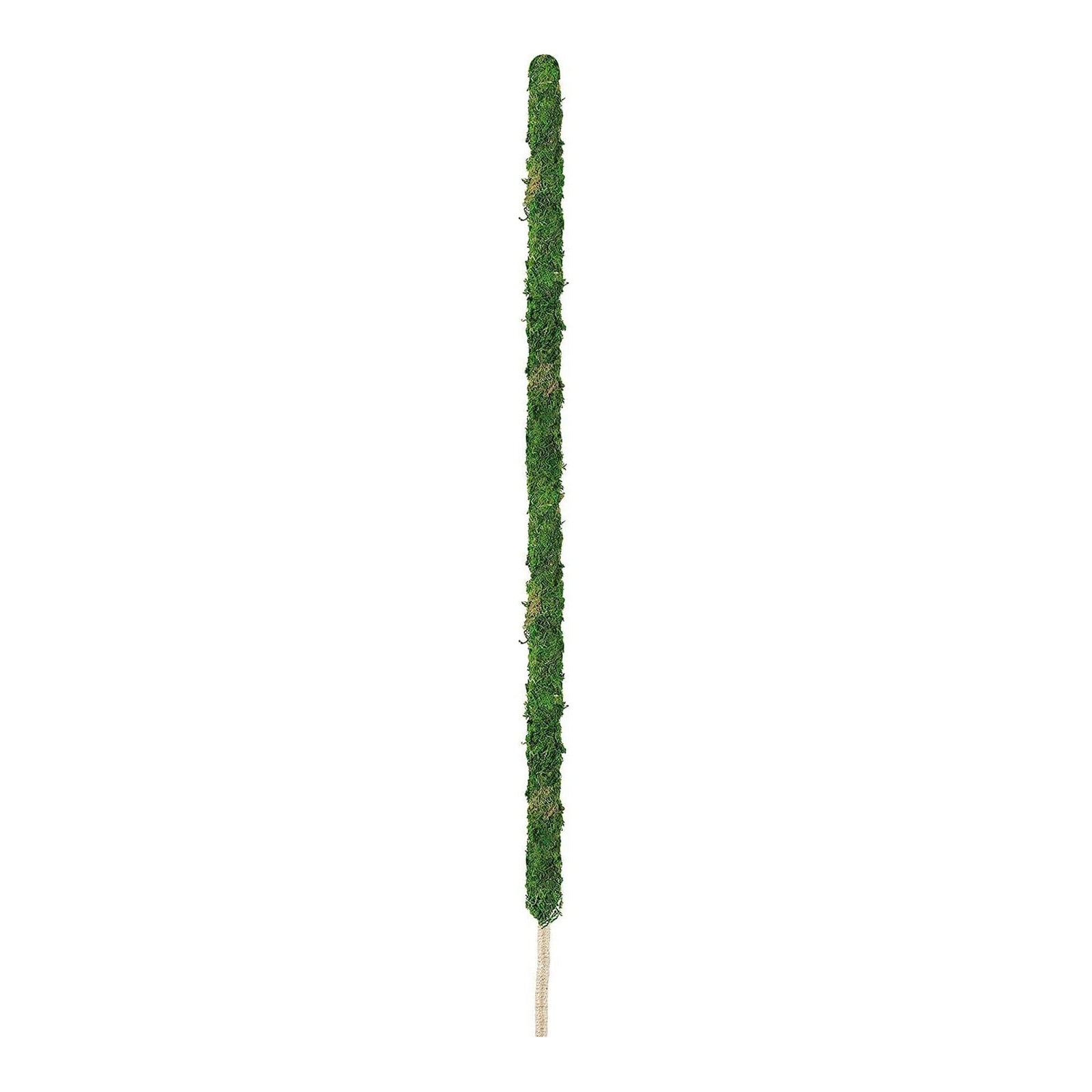 Clips Neutral 25 Inch Pole Bendable Stakes For Indoor Handmade Support ...