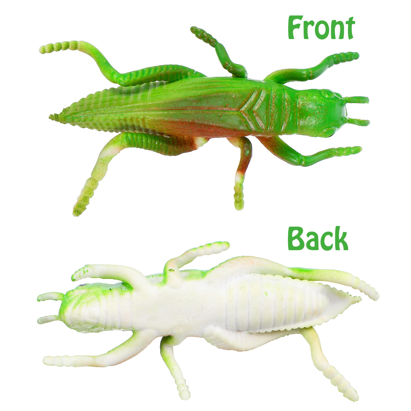 Clispeed 10pcs Simulation Green Grasshopper Fake Animal Insect Prank ...