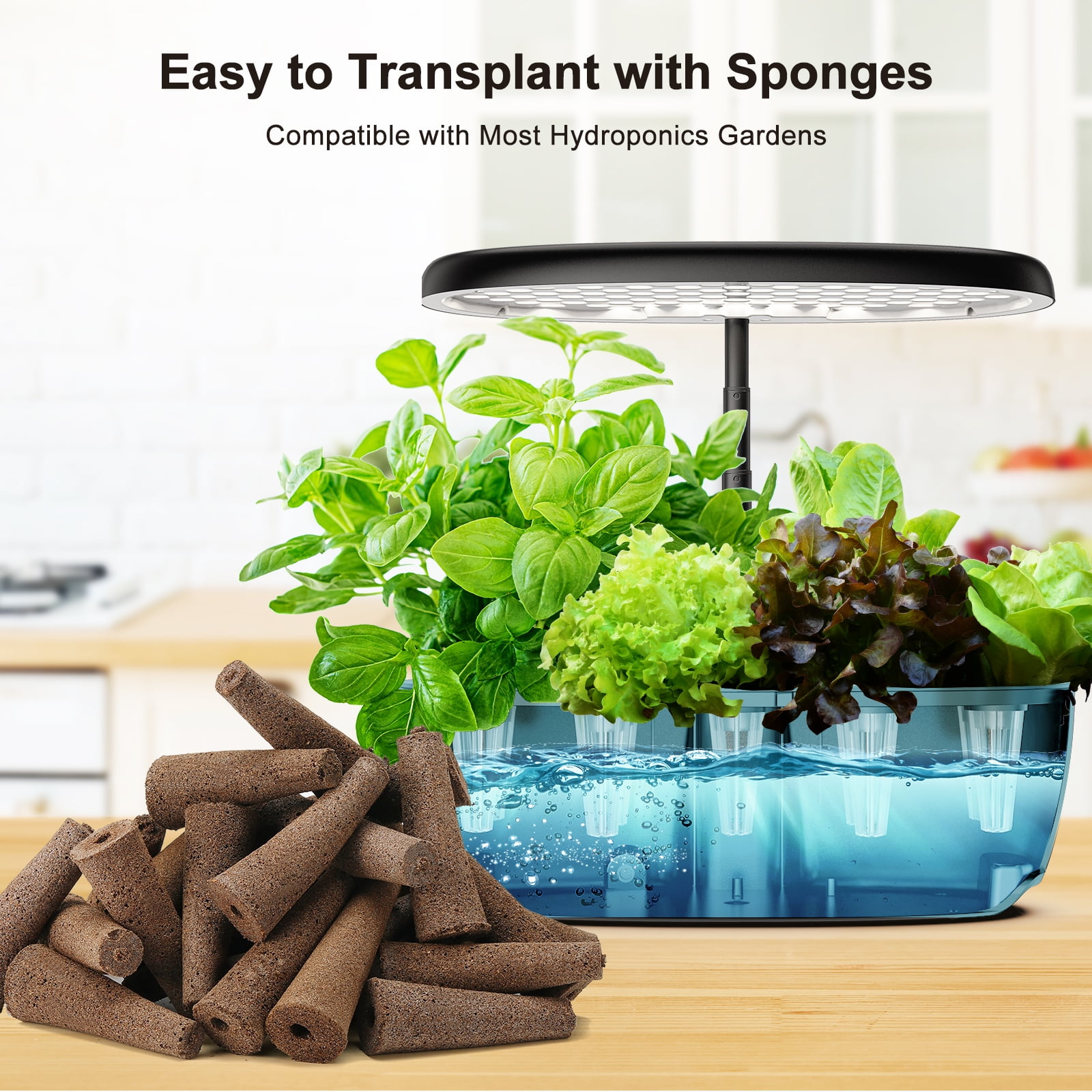 Clispeed 60 Pcs Grow Sponges Hydroponic Sponges Hydroponic Seed Pods ...
