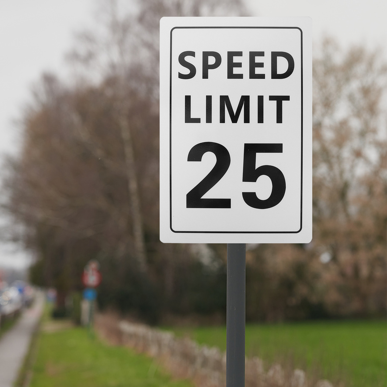 Clispeed Speed Limited Sign Weatherproof Traffic Warming Sign Driveway ...