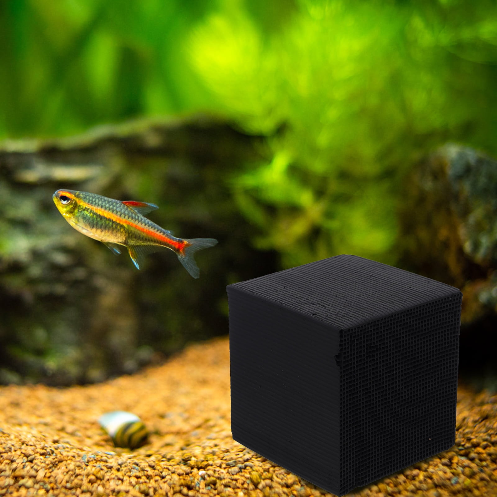 Clispeed Water Purifier Cube Aquarium Water Purifier Cube Activated ...
