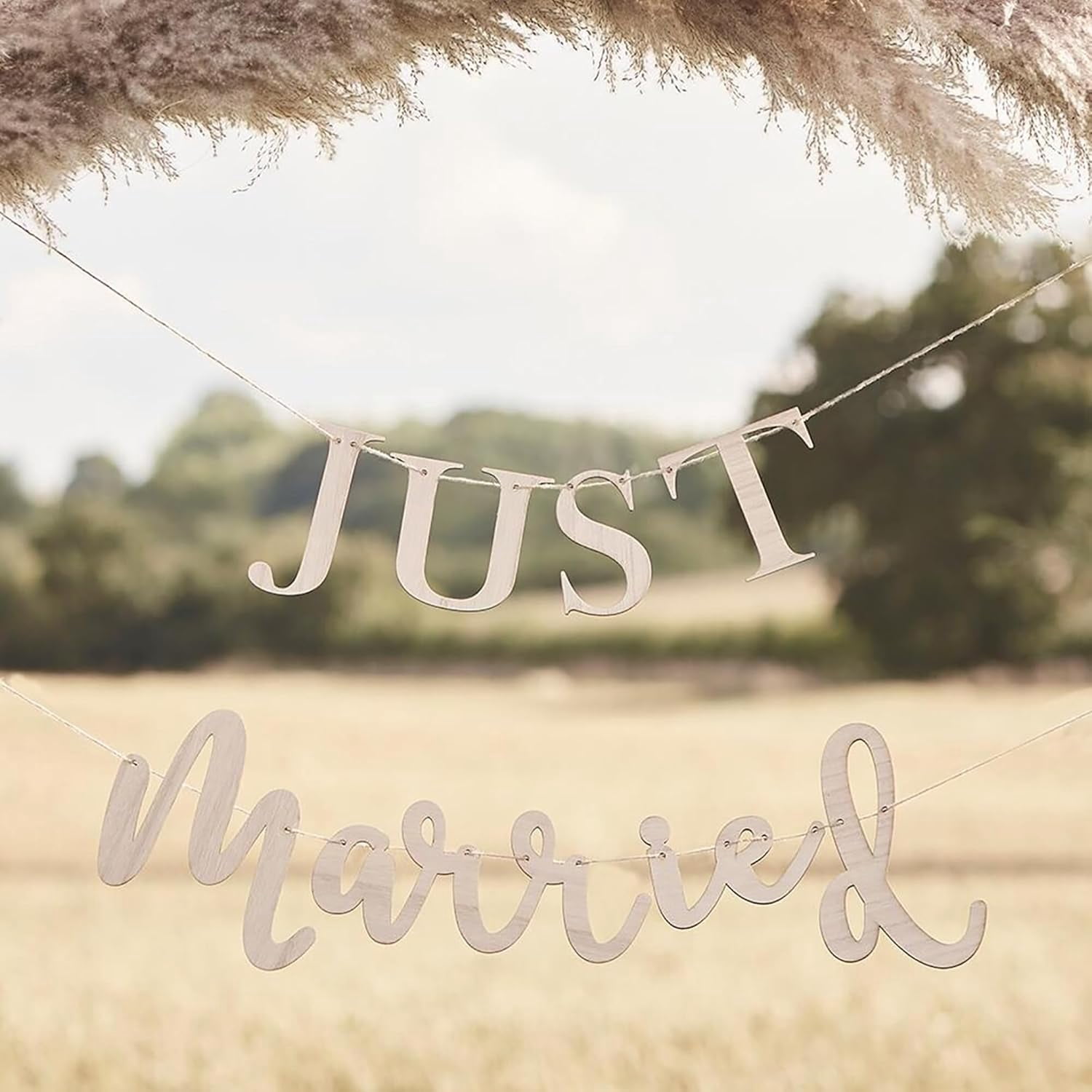 Cliths Wooden Just Married Banner Rustic Wedding Garland Sign for Boho ...