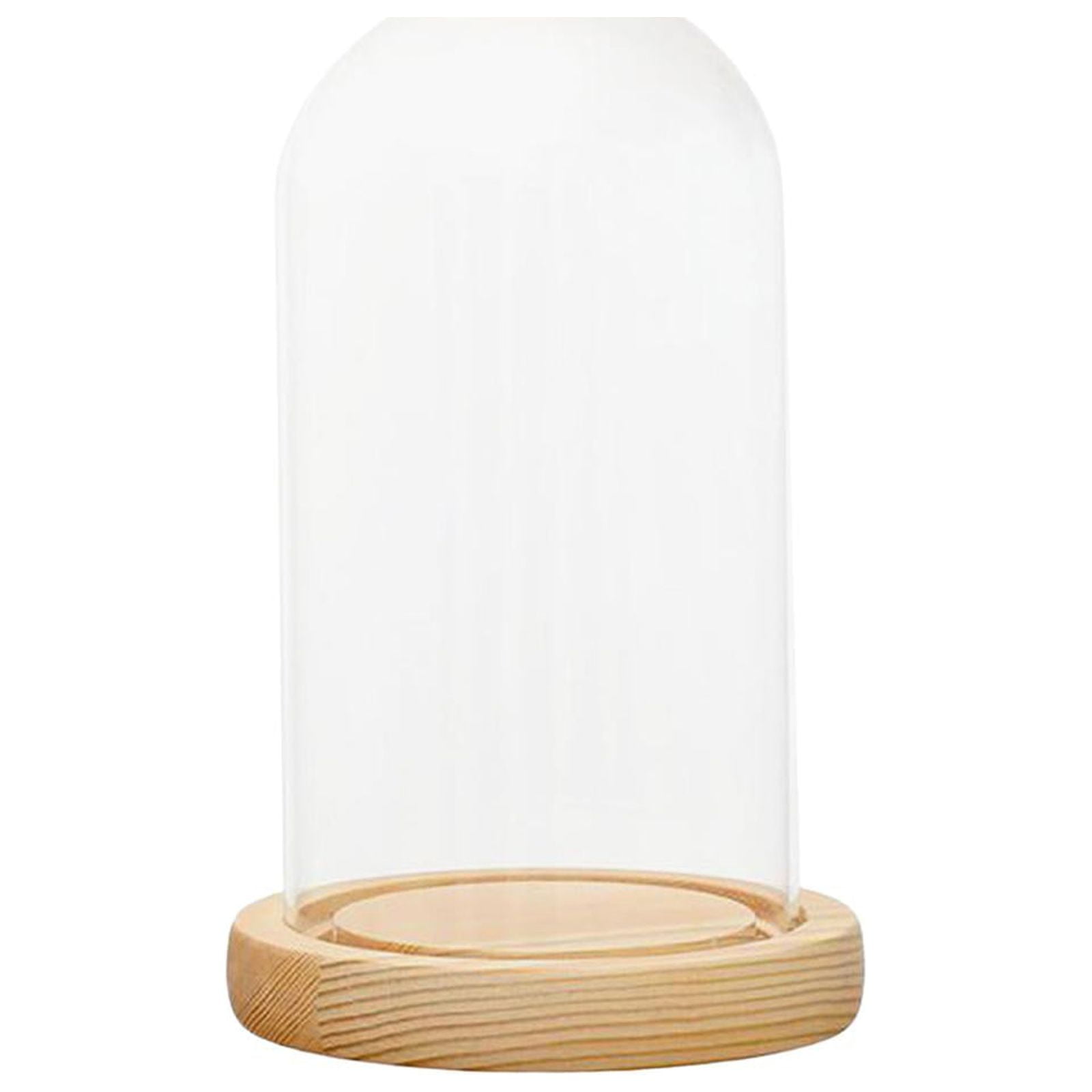 Cloche Bell Jar Wooden Base Transparent Cover Showcase Display Case ...