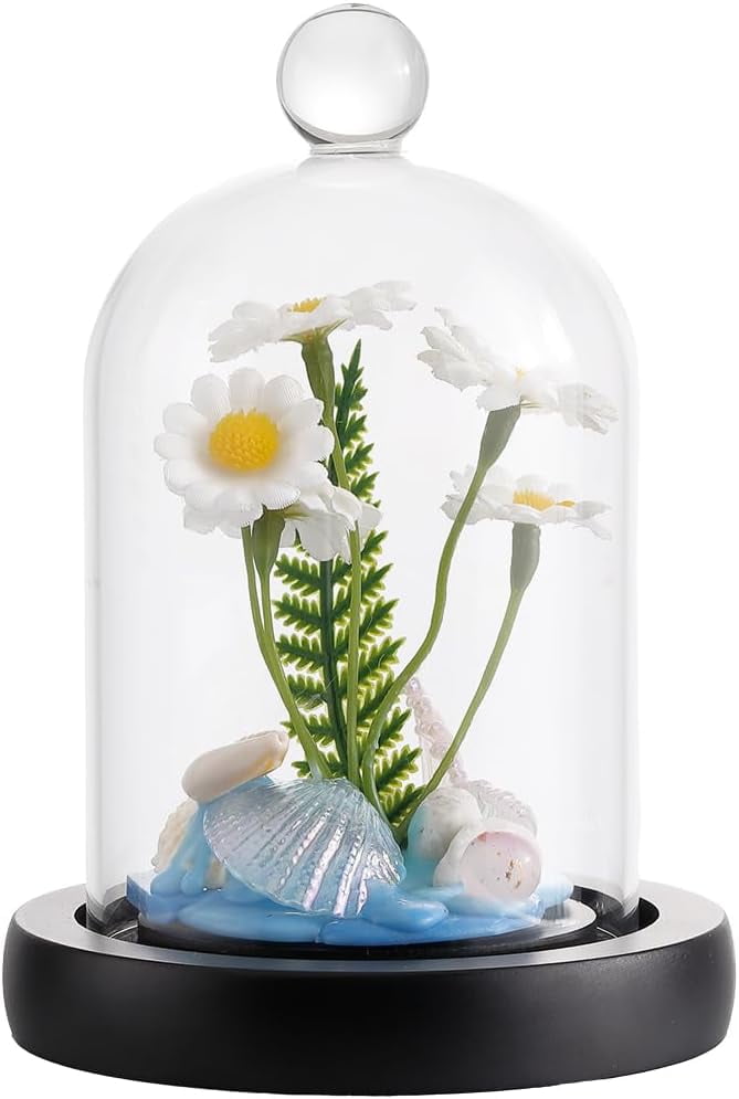 Cloche Glass Dome 70x122mm Glass Bell Jar Display Case with Wooden Base ...