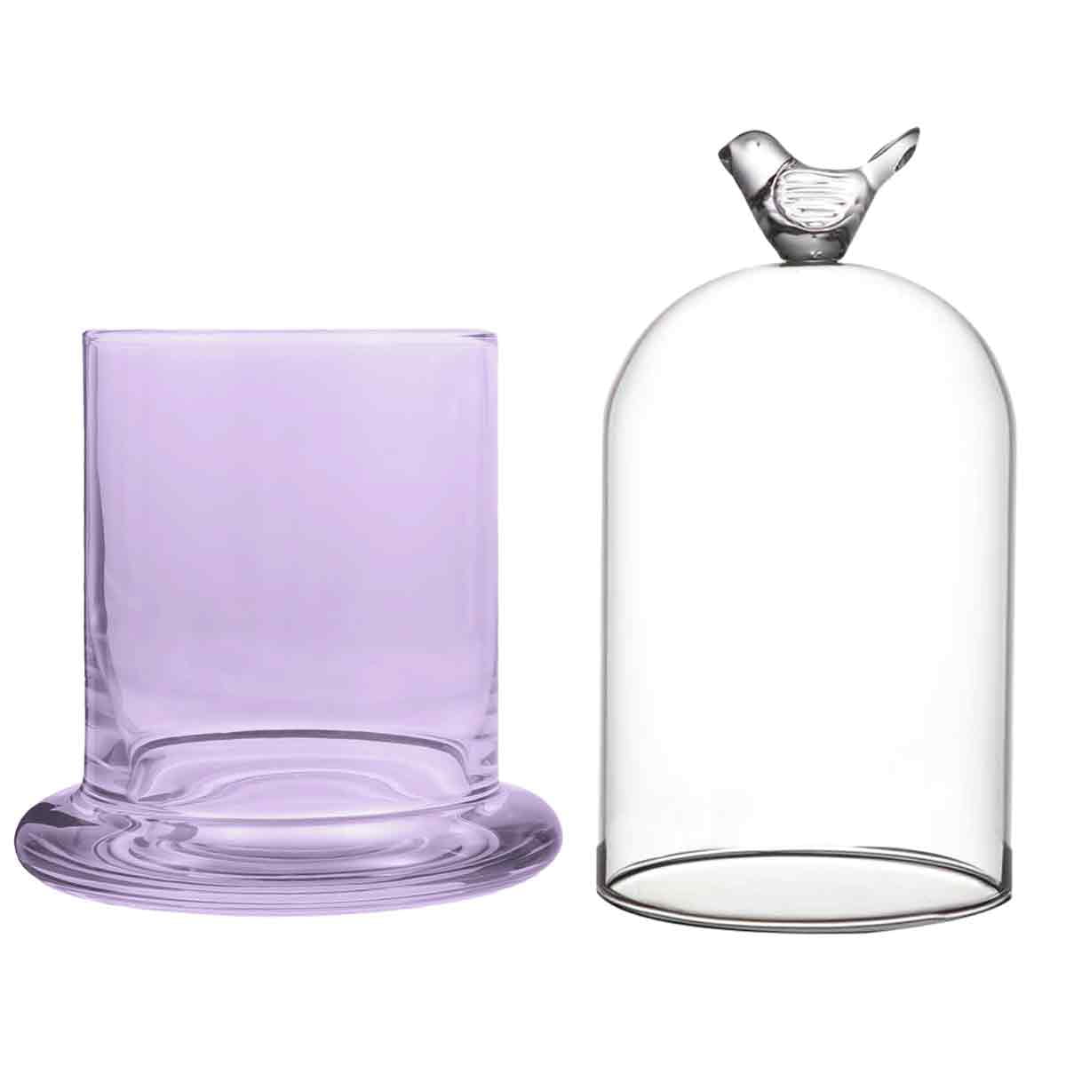 Cloche Glass Dome, Clear Glass Bell Jar, Decorative Cloche Jar, Glass ...