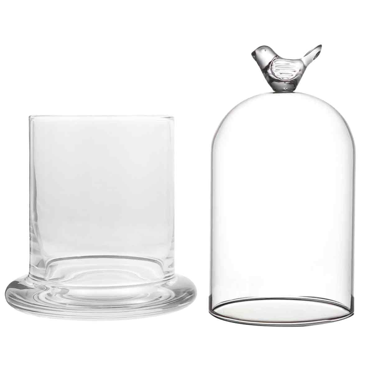 Cloche Glass Dome, Clear Glass Bell Jar, Decorative Cloche Jar, Glass ...