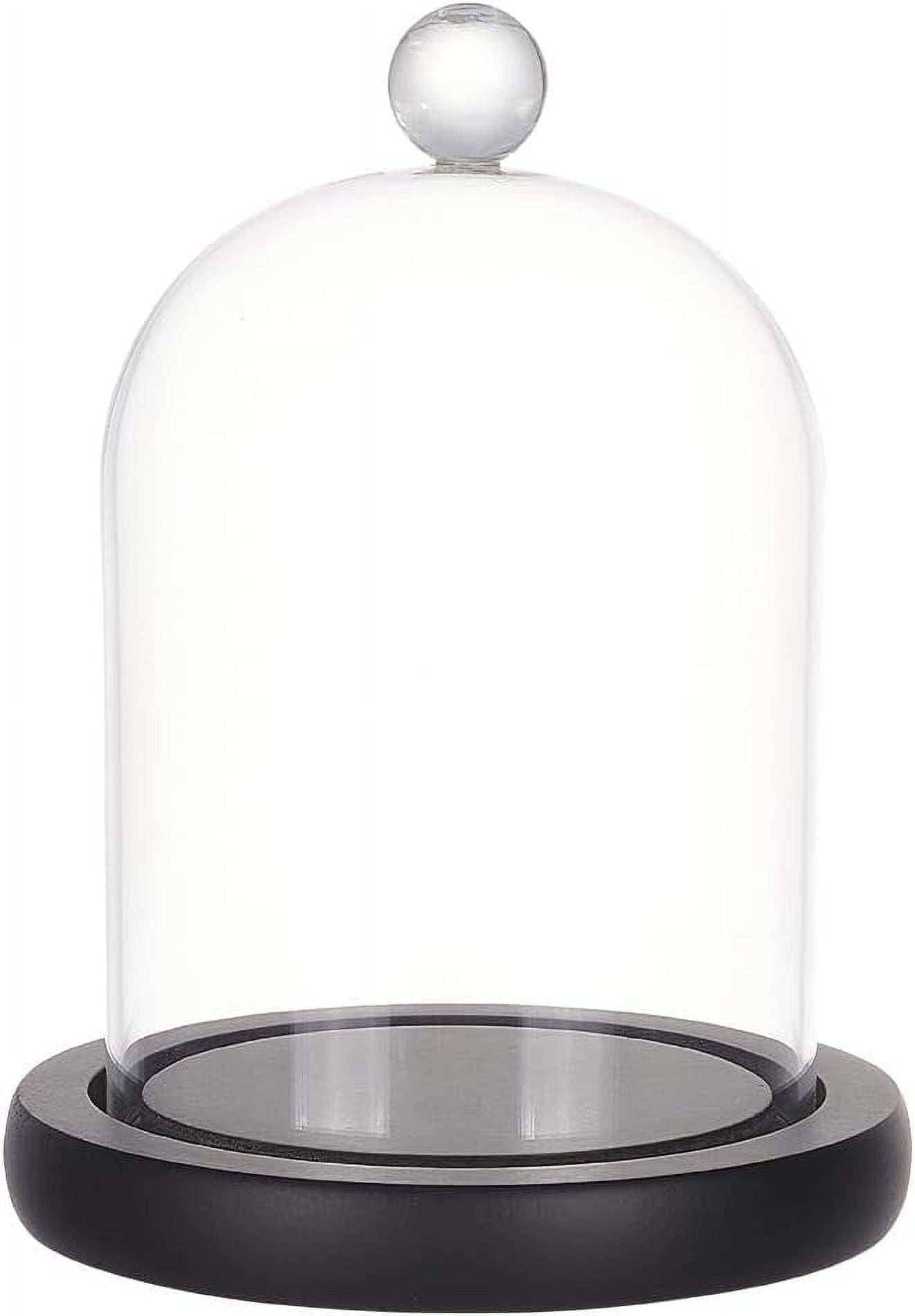Cloche Glass Dome Clear Glass Display Dome Cloche Bell Jar Dome Cover ...
