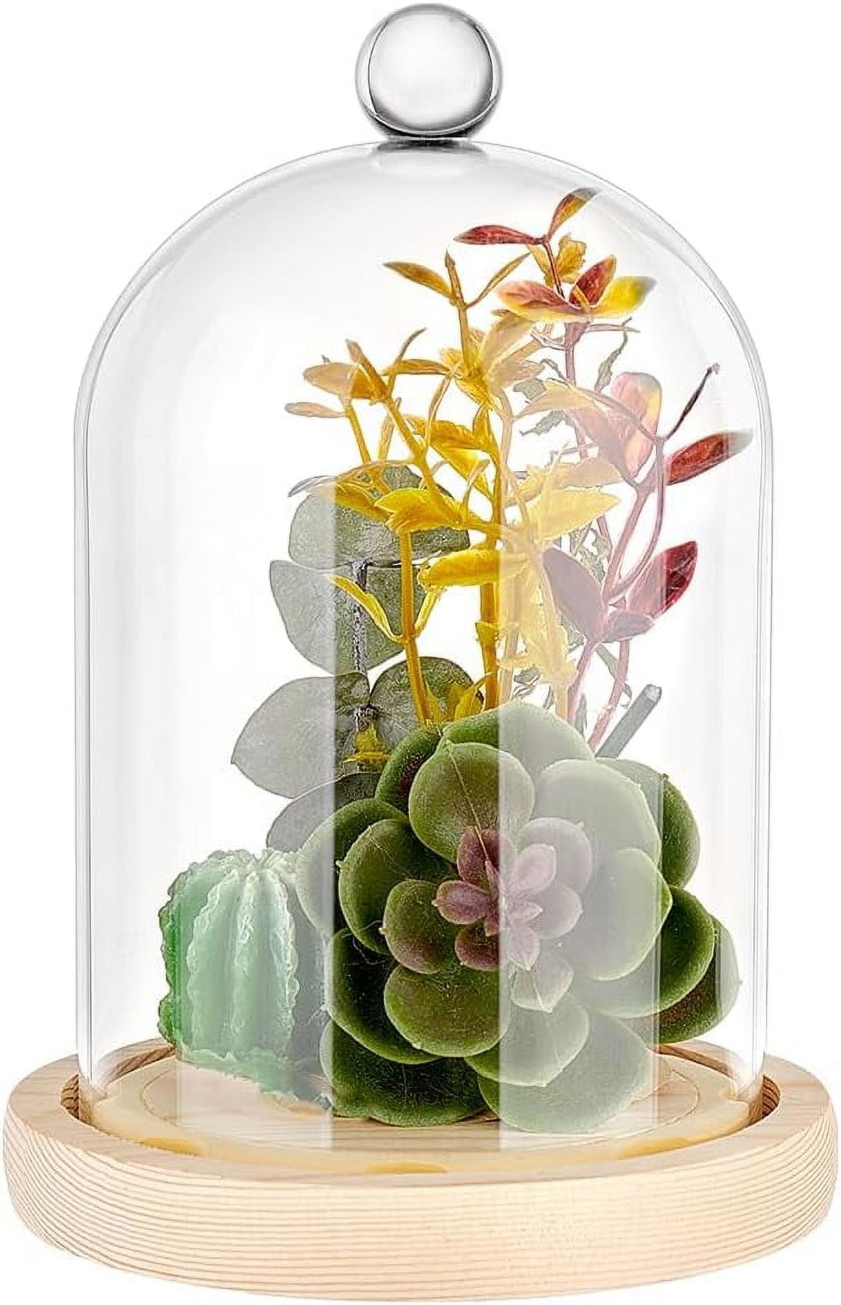 Cloche Glass Dome Decorative Display Case Clear Glass Display Dome with ...
