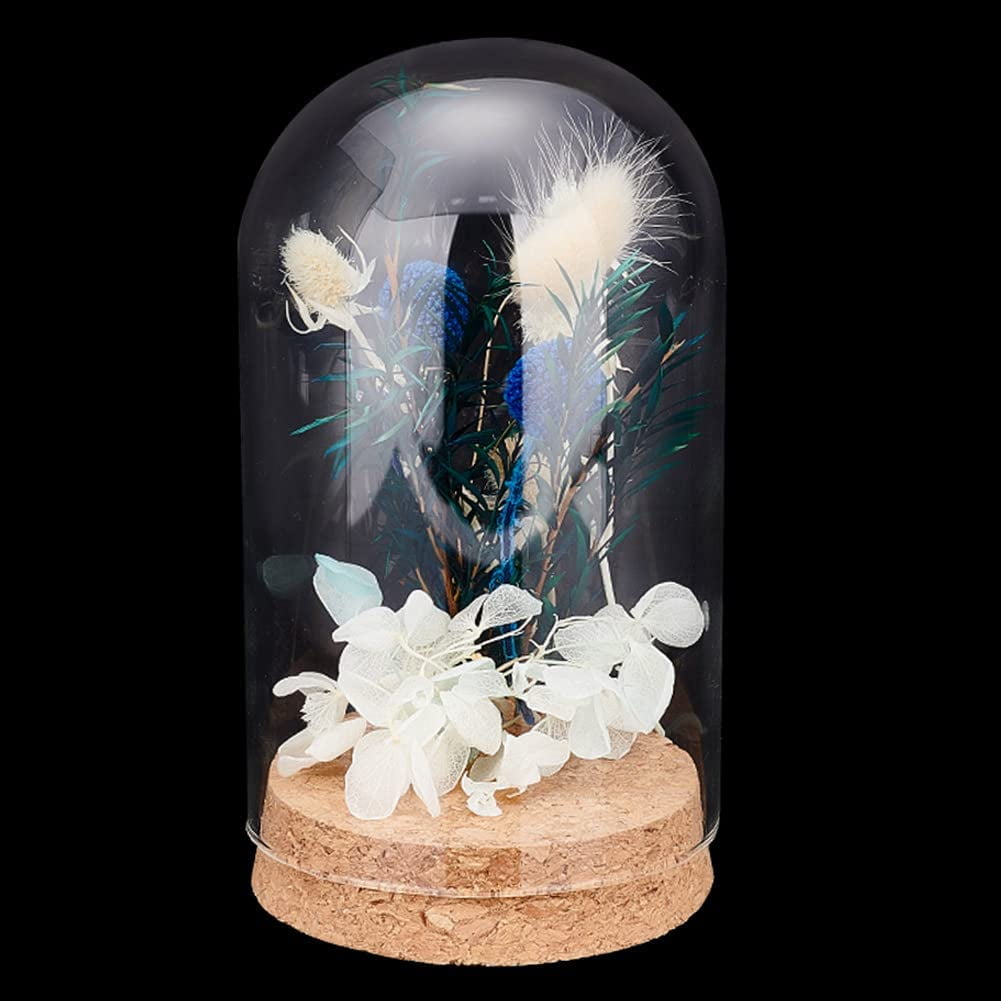 Cloche Glass Dome Glass Display Dome with Cork Base Decoration Bottles ...