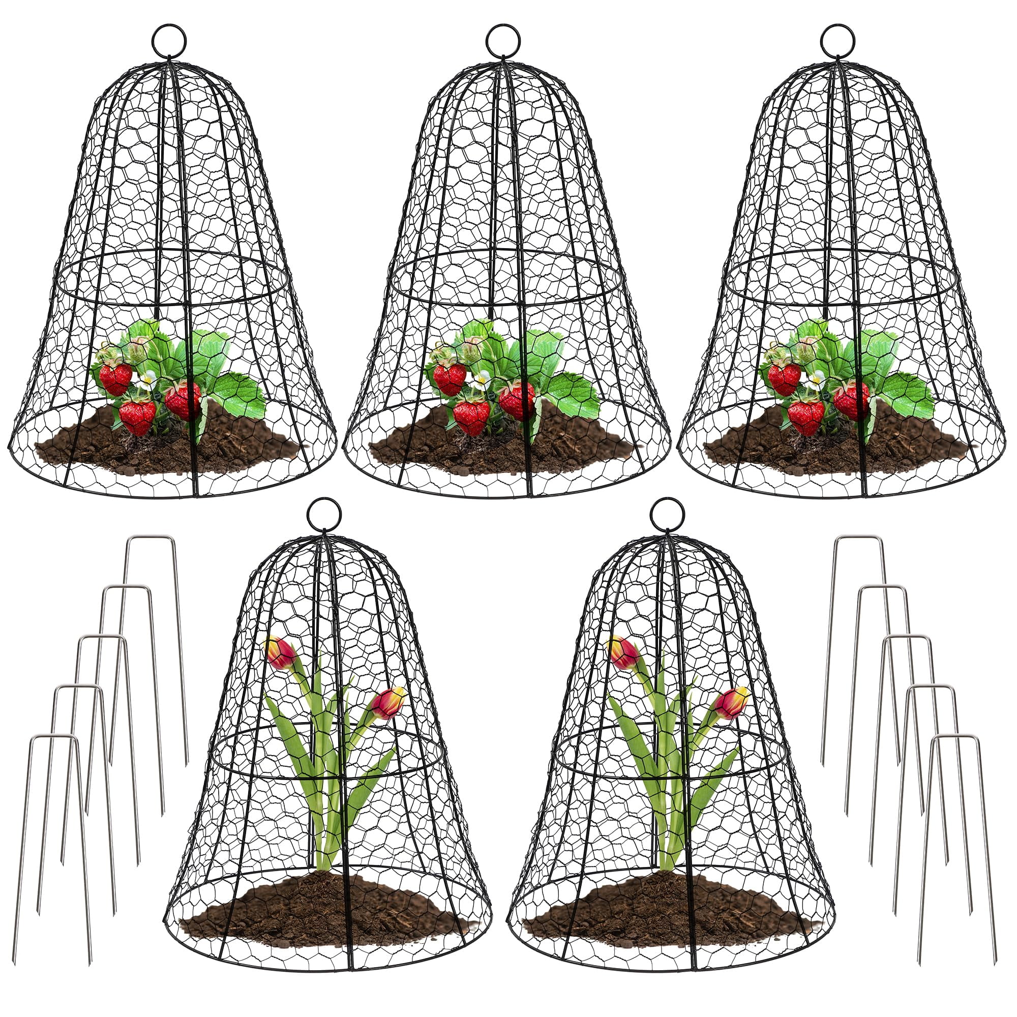 Cloche Plant Protector - Walmart.com