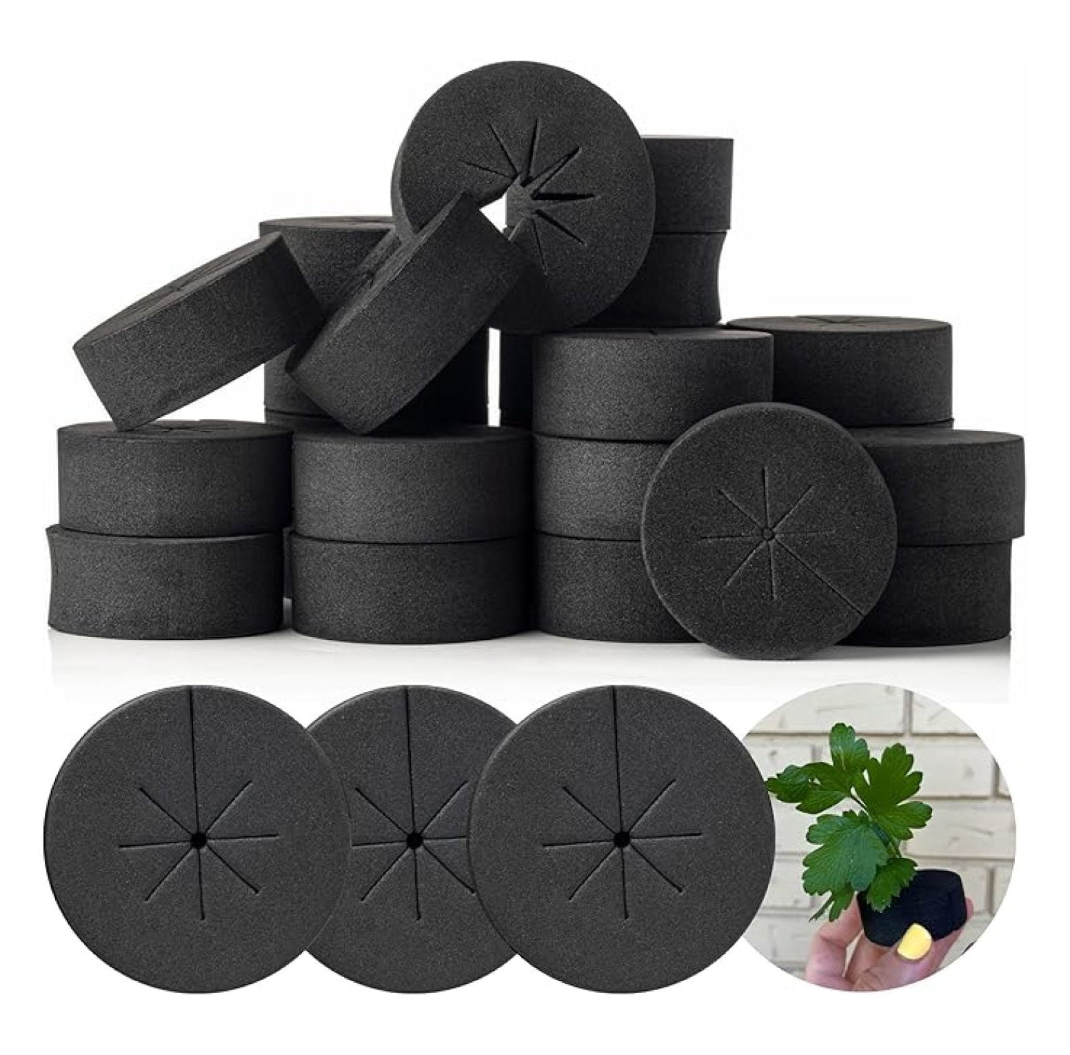 Cloning Collars 2 Inch (200 – Pack), Premium Rubber Foam Plant Cloner ...