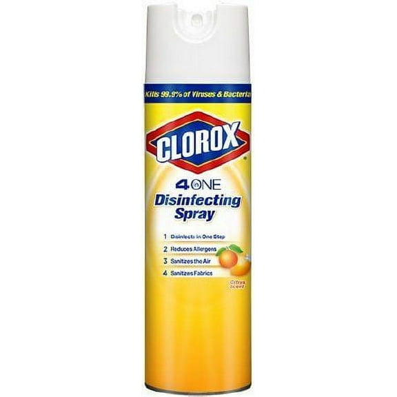 Clorox Disinfectant Sanitizer