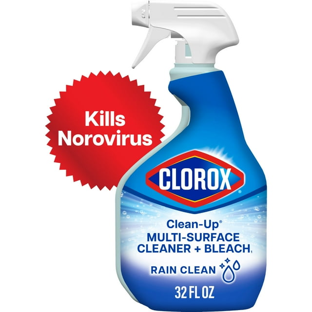 Clorox Clean-Up Disinfecting Spray: All-Purpose, Kitchen & Bathroom ...