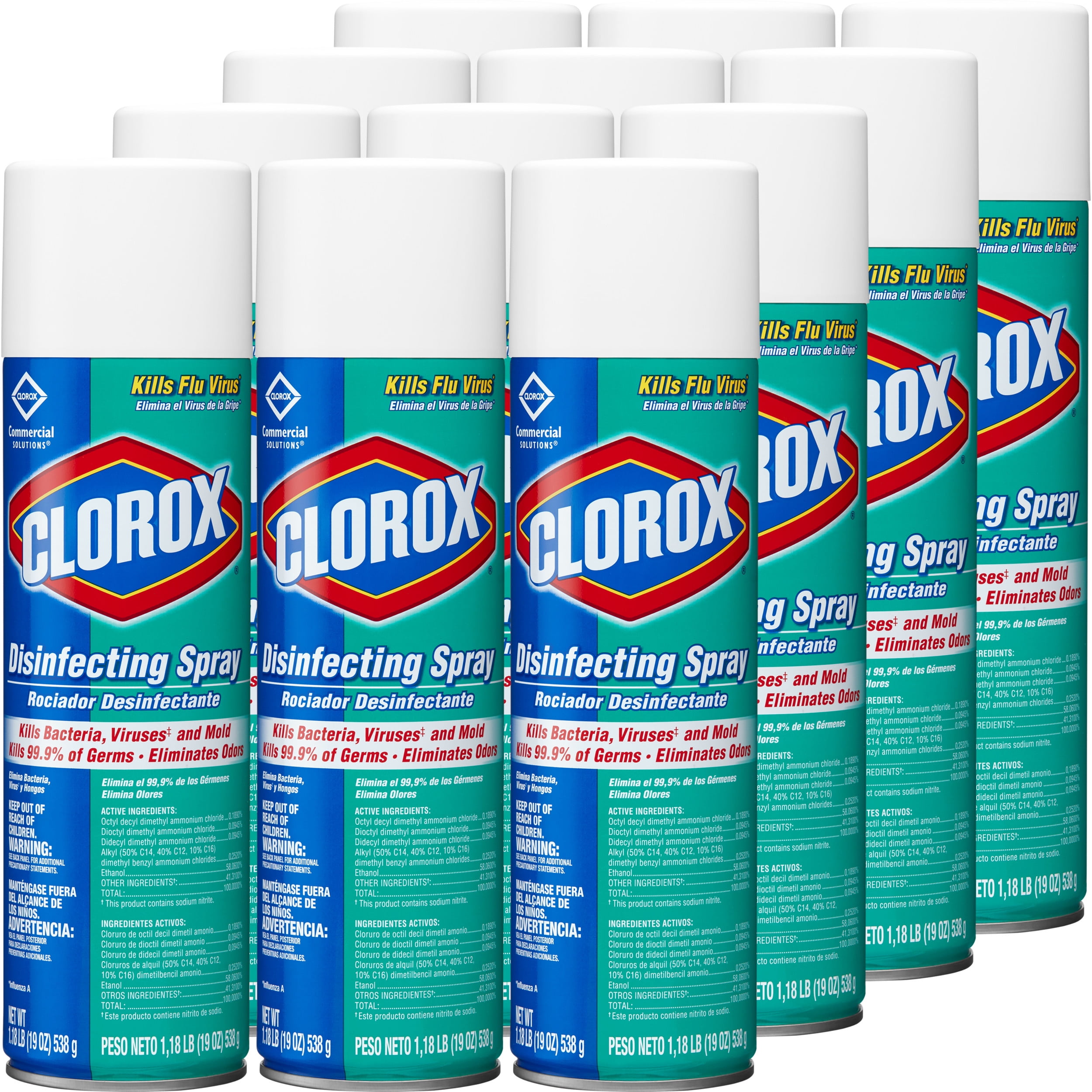 Clorox Disinfectant Multi-surface Daily Sanitizing Spray, 19 oz (12 ...
