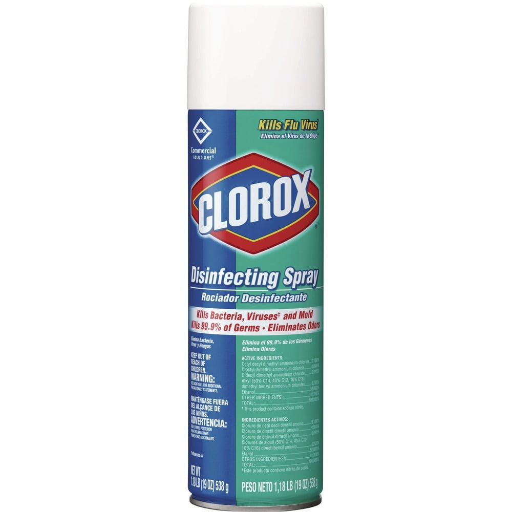 Clorox Disinfectant Multi-surface Daily Sanitizing Spray, 19 oz (12 ...
