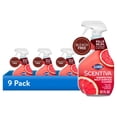 (9 pack) Clorox Scentiva Bleach-Free Multi-Surface Cleaner Spray ...