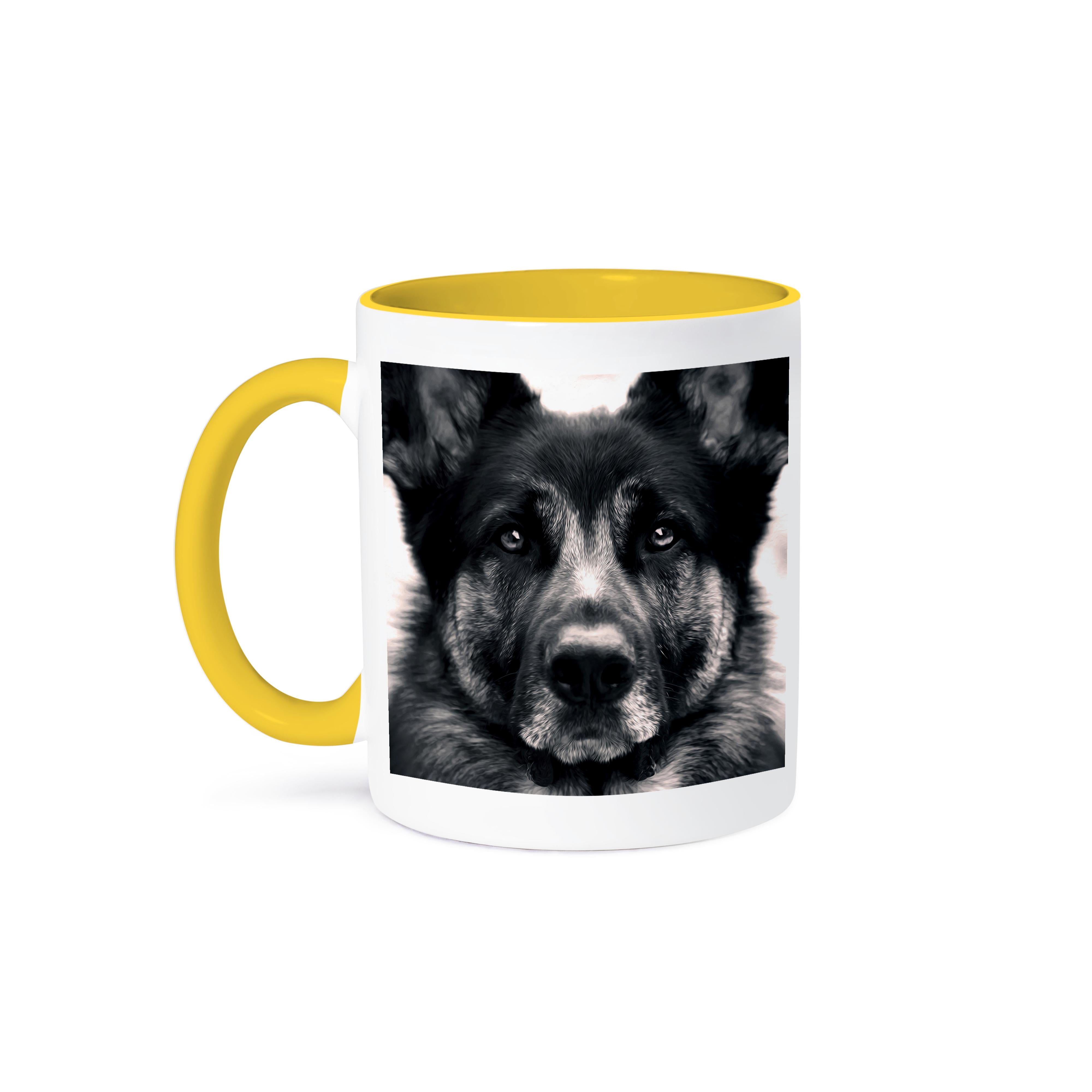 Close Up Black And White Photograph Of A Regal German Shepherd Dog ...