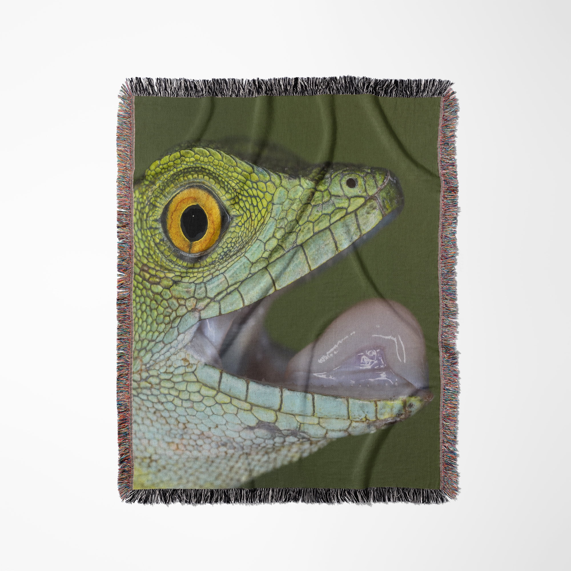 Close Up Of Juvenile Green Basilisk Lizard. Mouth Open Showing Tongue ...
