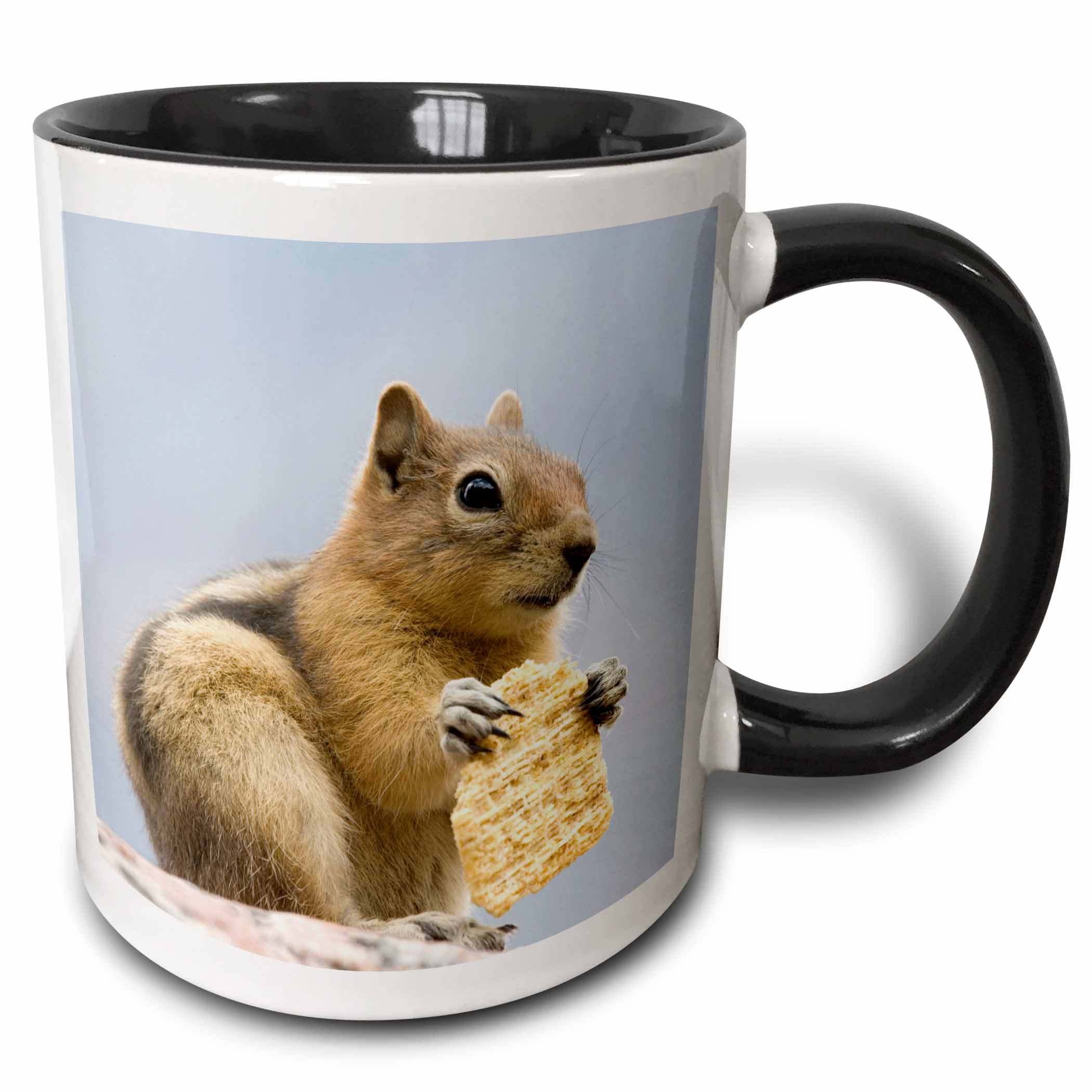 3drose, Close-up of Squirrel Eating Cracker - Na01 Bja0160 - Jaynes ...