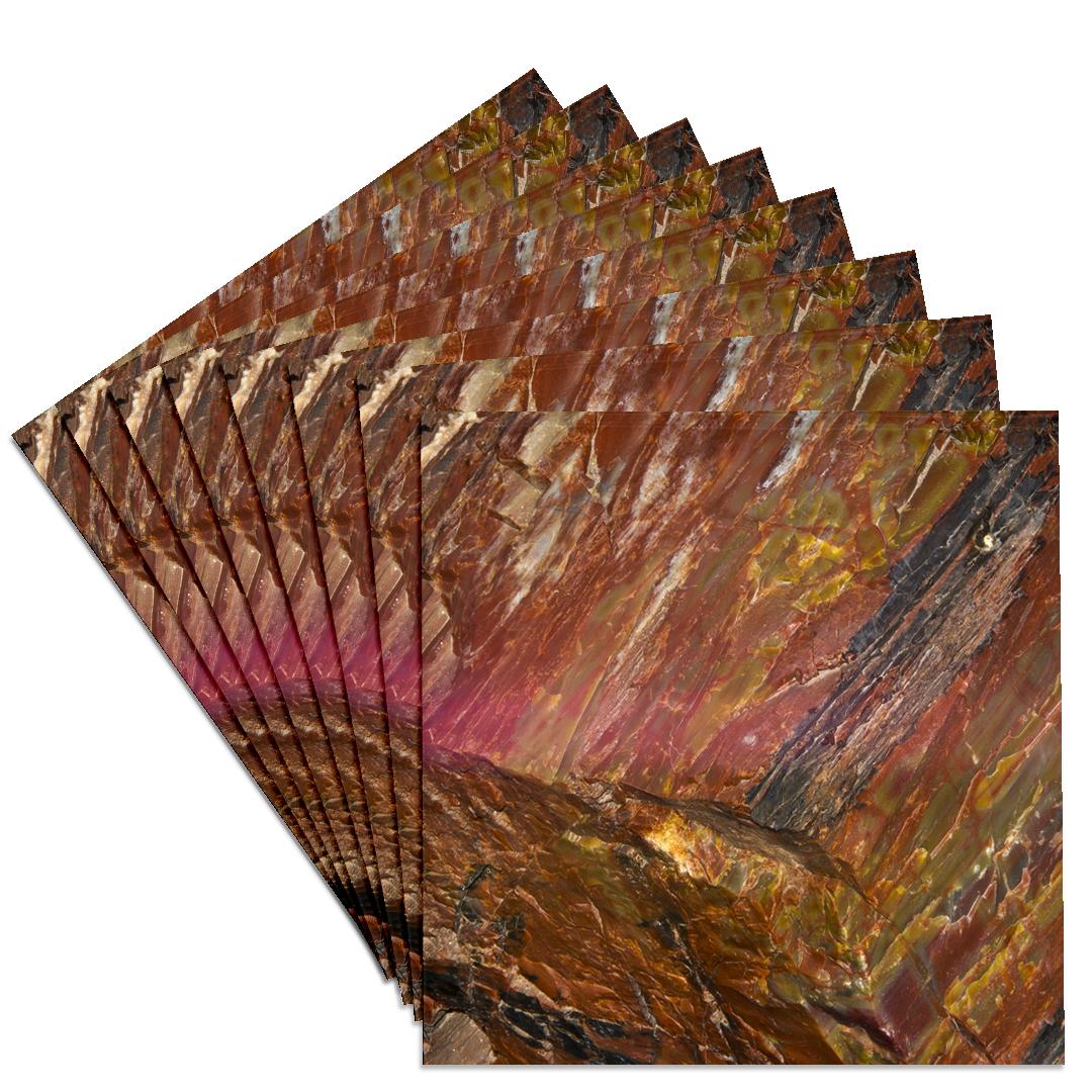 3drose, Close-up Petrified Wood, Petrified Forest Np, Holbrook, Arizona ...