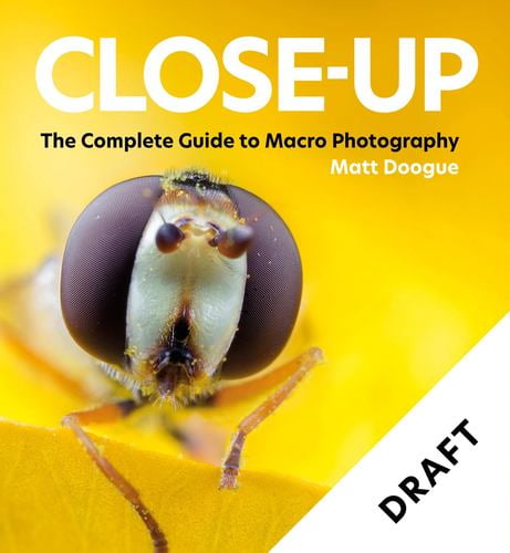 Close-Up: The Complete Guide to Macro Photography - Walmart.com