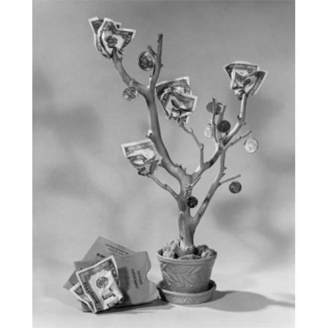 Close-Up of a Money Tree Poster Print - 18 x 24 in. - Walmart.com